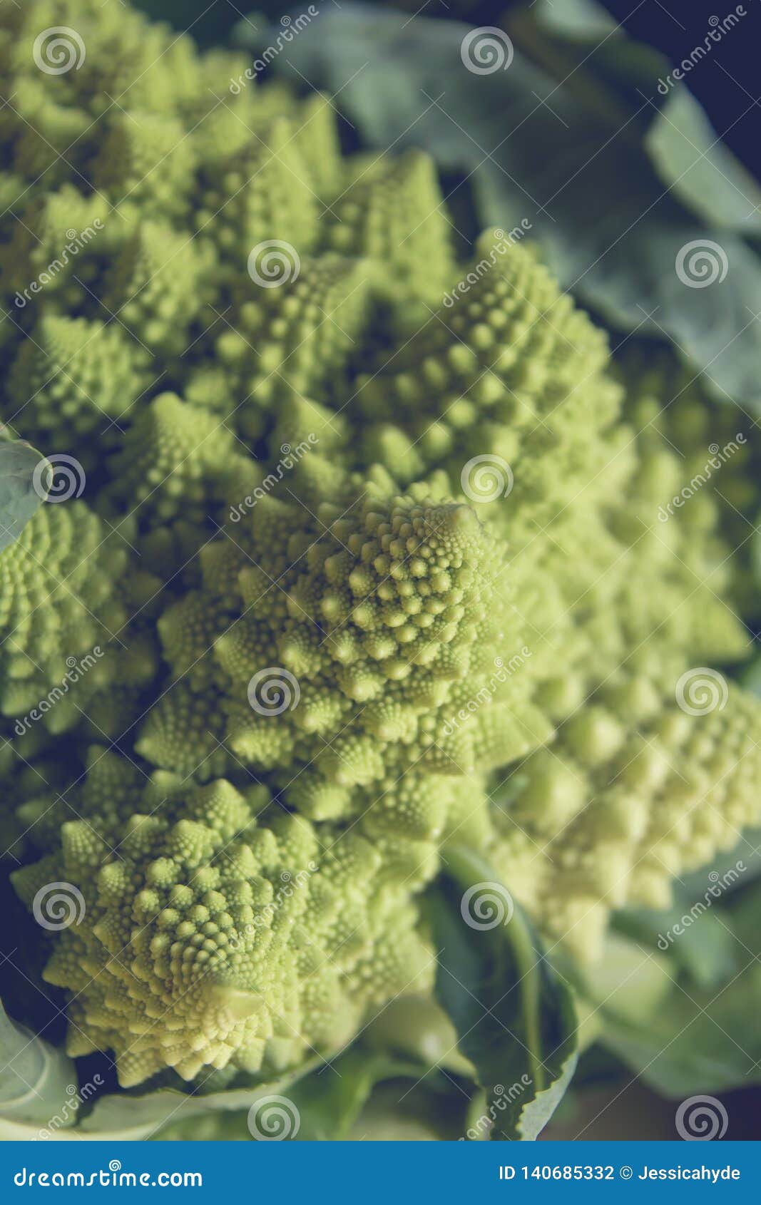 Romanesque Cauliflower Close Up Stock Photo - Image of fiber, food ...