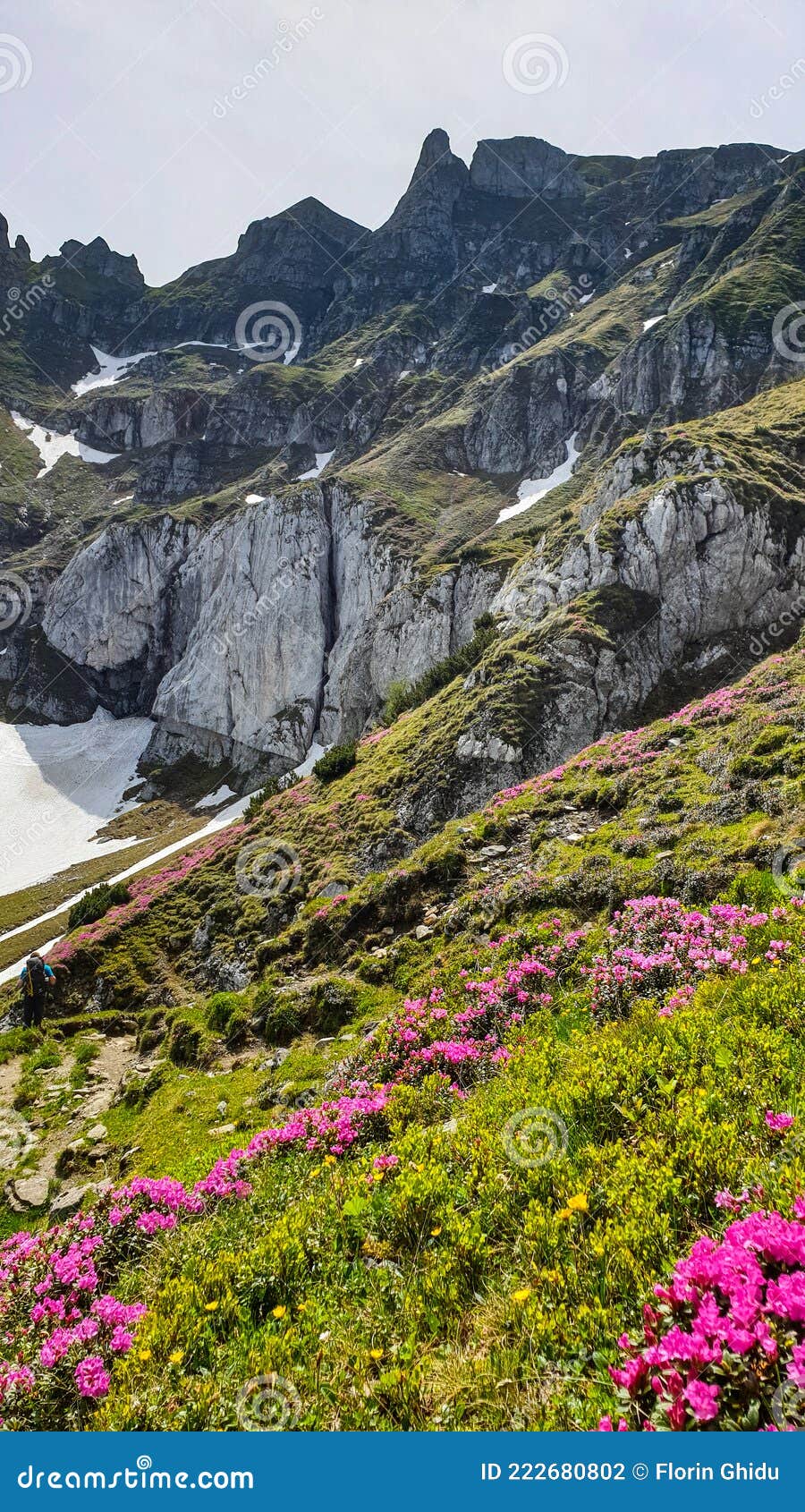 Romania, Bucegi Mountains, Tiganesti Stock Photo - Image of green ...