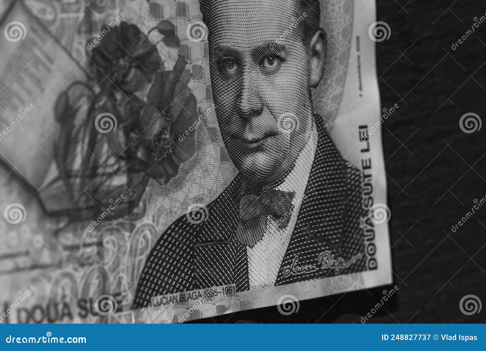 Romania LEI Money. Romanian LEI Currency Stock Image - Image of banking ...