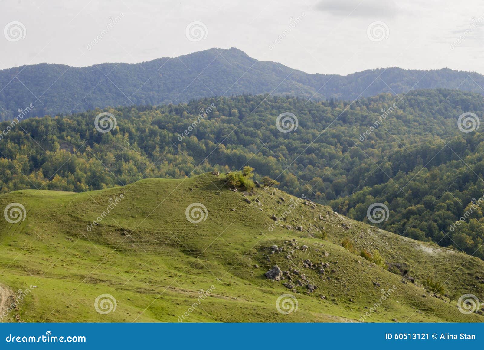 Romania mountains stock image. Image of orange, wood - 60513121