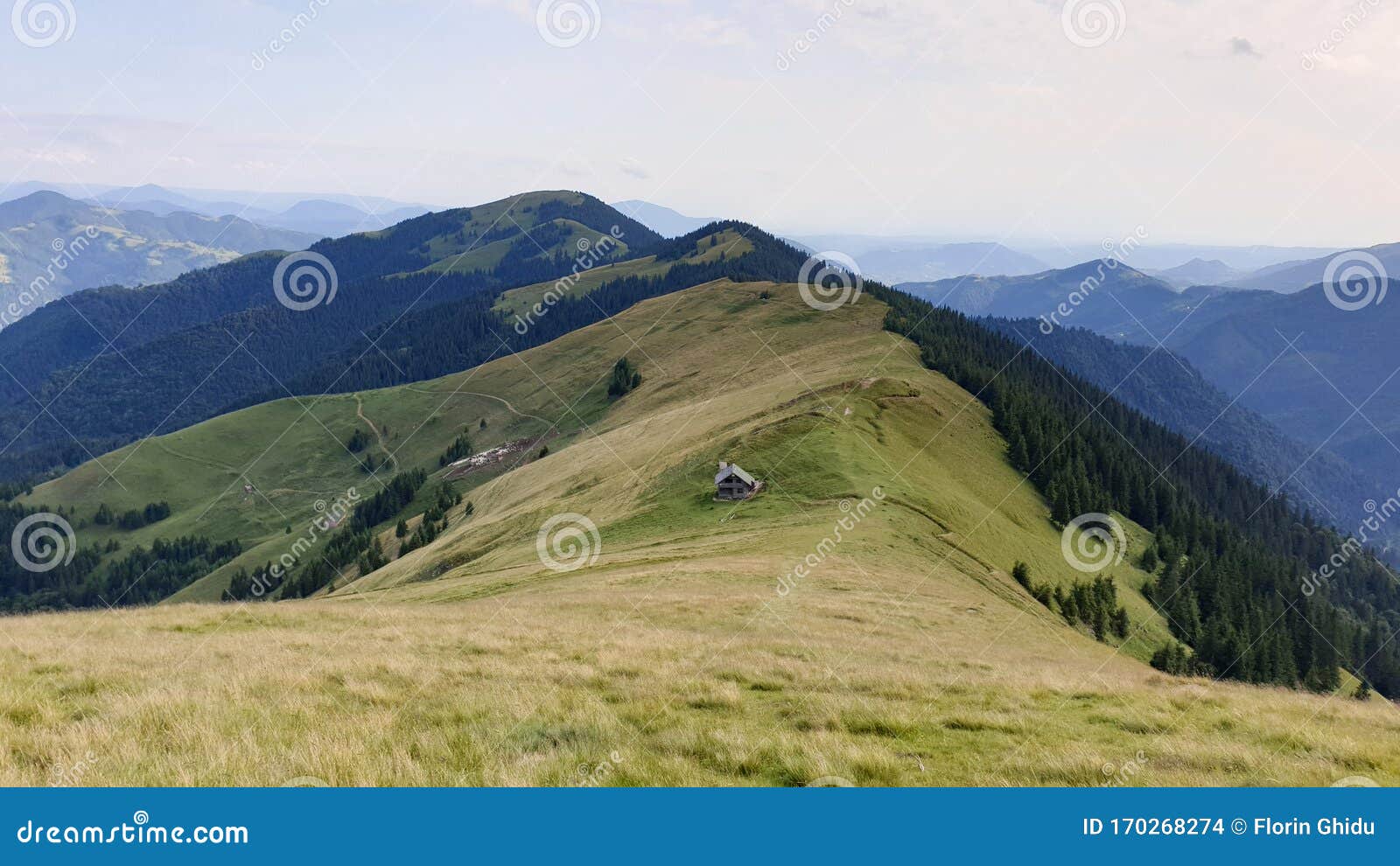 Romania, Rodnei Mountains, Curatel Saddle. Stock Photo - Image of ...