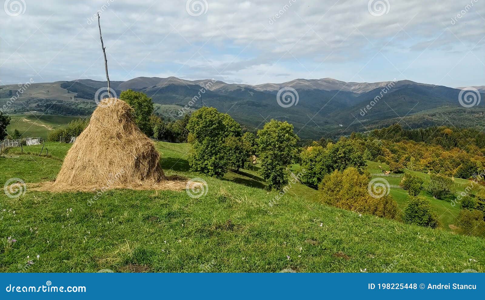 Romania Rural Countryside stock photo. Image of green - 198225448