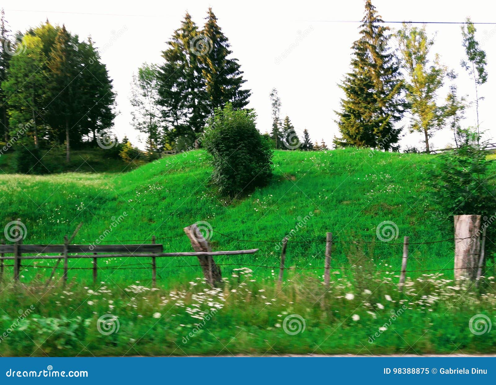 Romania stock image. Image of garden, lawn, forest, biome - 98388875