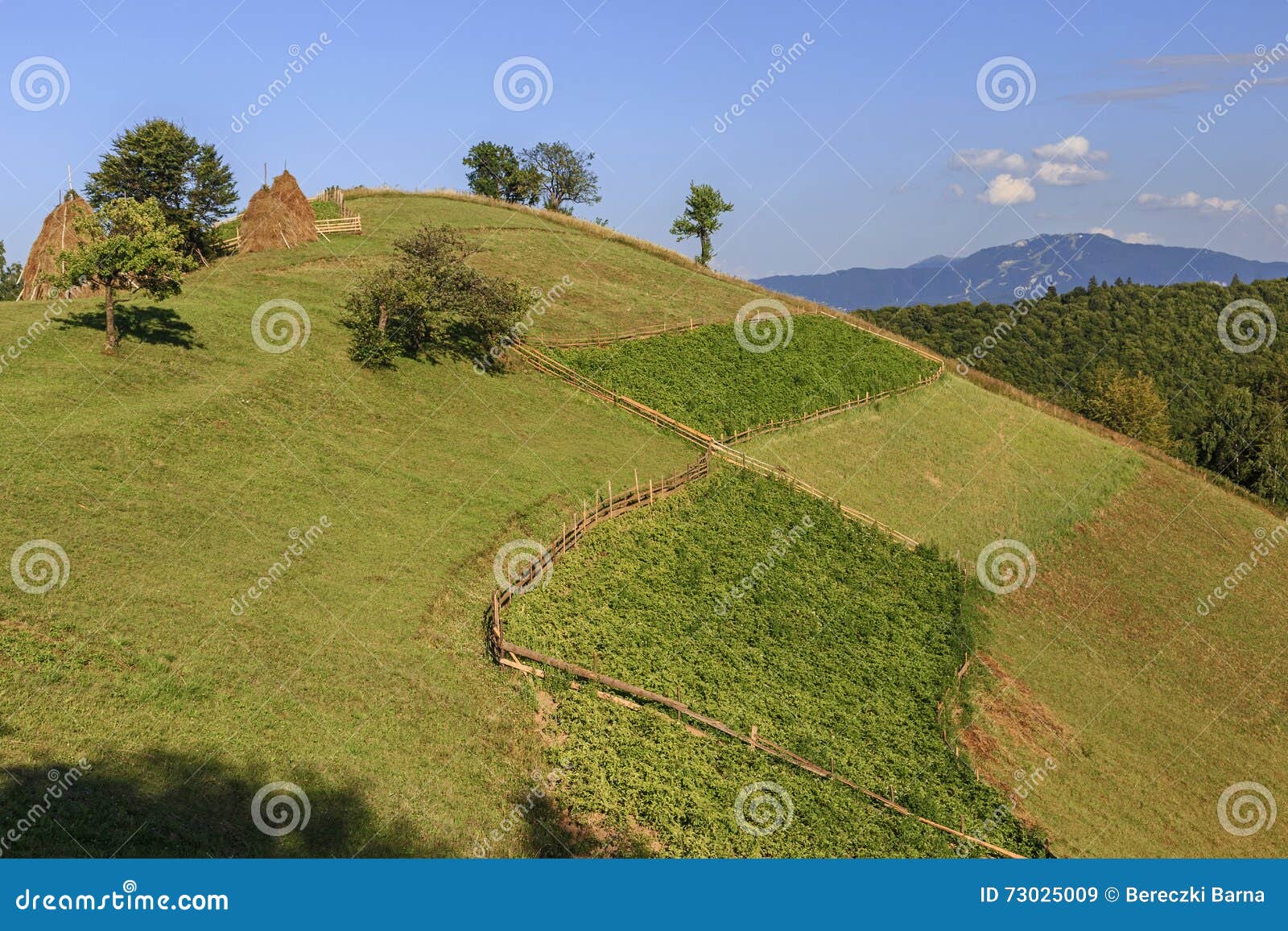 Romanian Hills with Haystack on the Meadow. Rural Scenery. Stock Image ...