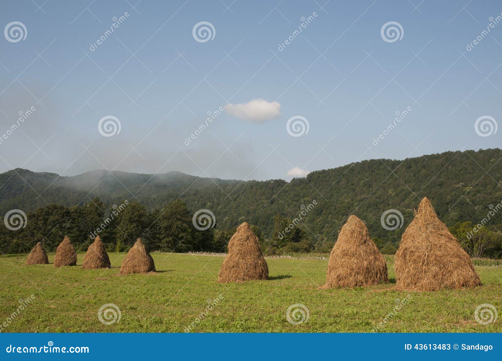 Romanian landscape stock image. Image of bran, europe - 43613483