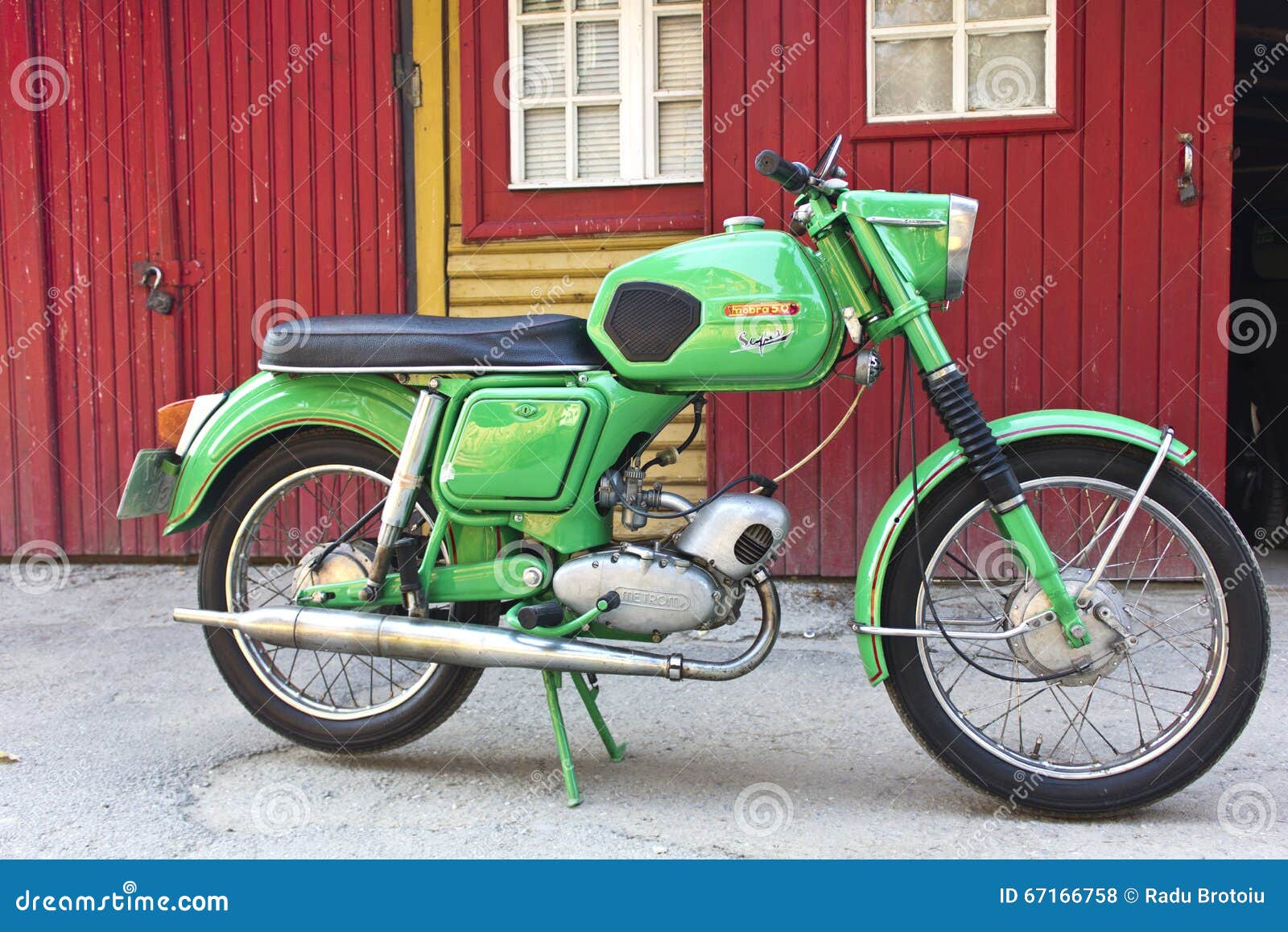 Mobra Photos - Free & Royalty-Free Stock Photos from Dreamstime