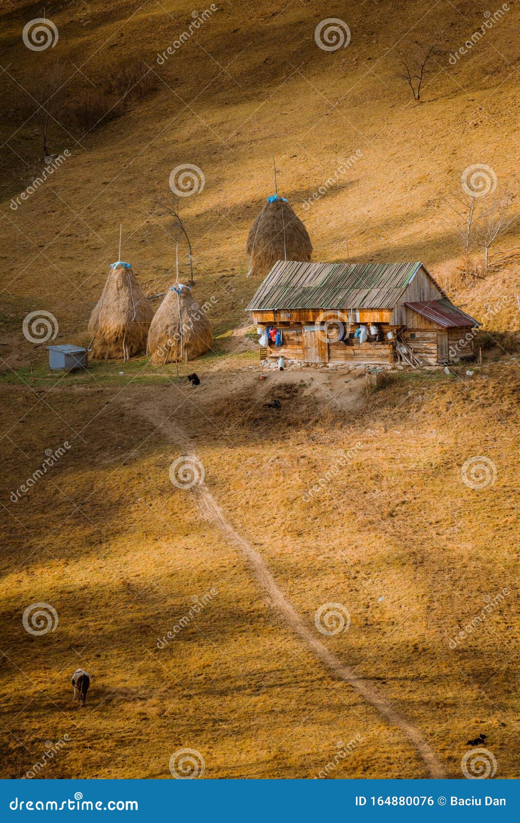 Romanian Shepherds Barn and Haystack from Transylvania Landscape Stock ...