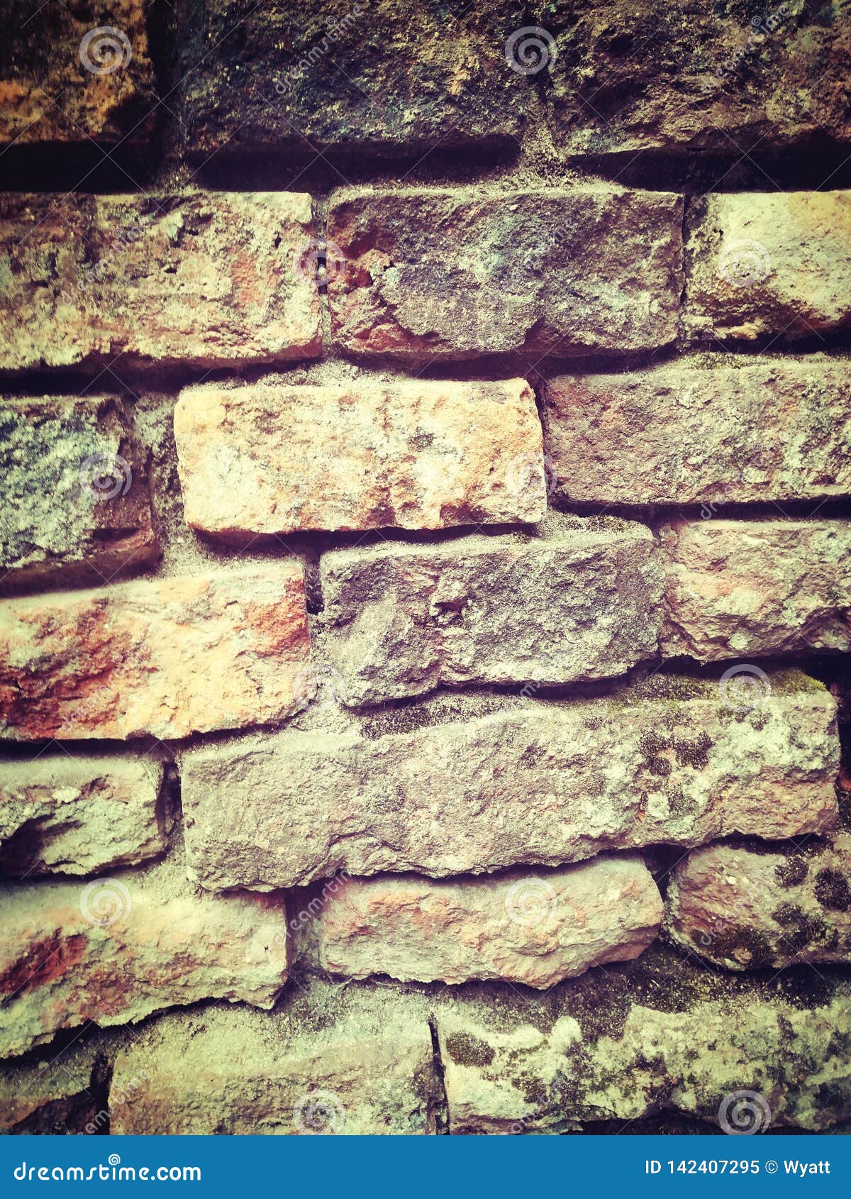 Romanian Wall stock image. Image of romanian, brick - 142407295