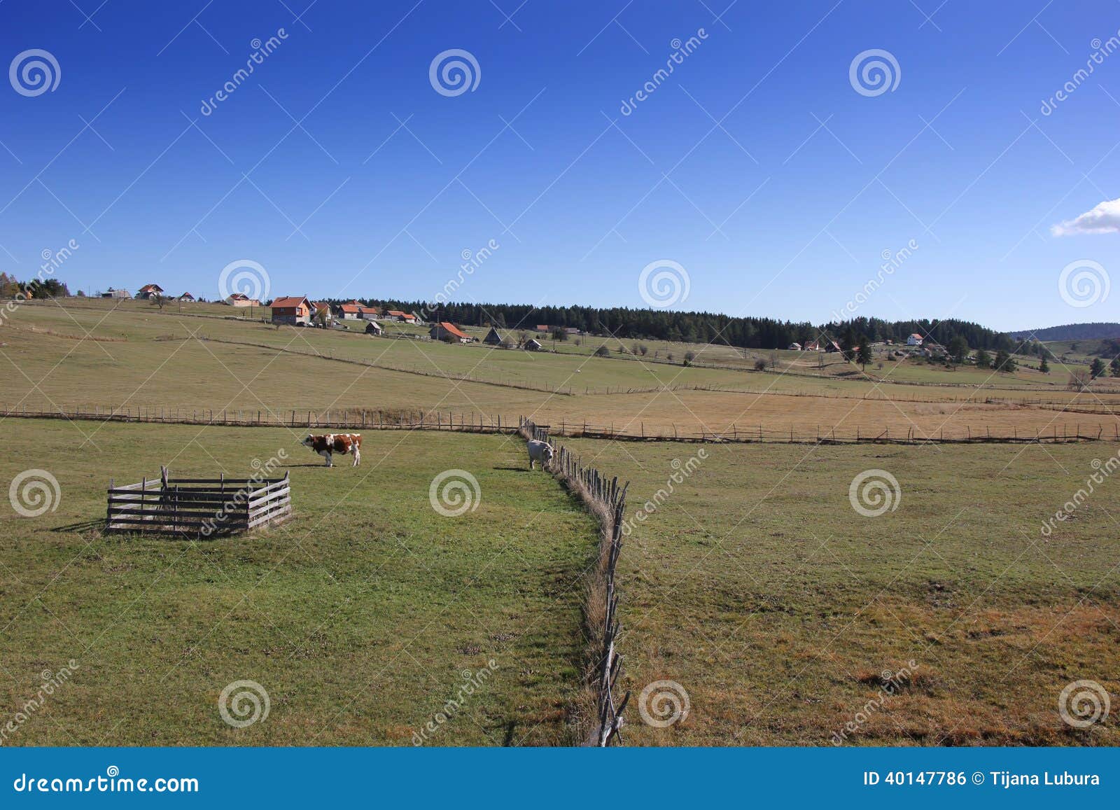 Romanija foto de stock. Imagem de paisagem, herzegovina - 40147786