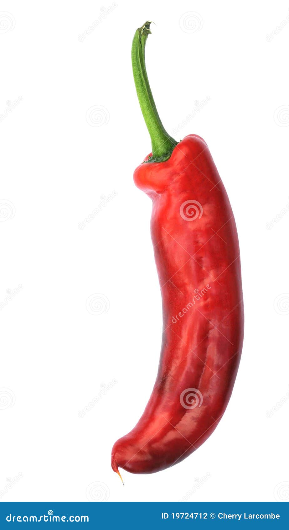 Romano Pepper stock photo. Image of edible, pepper, shape - 19724712