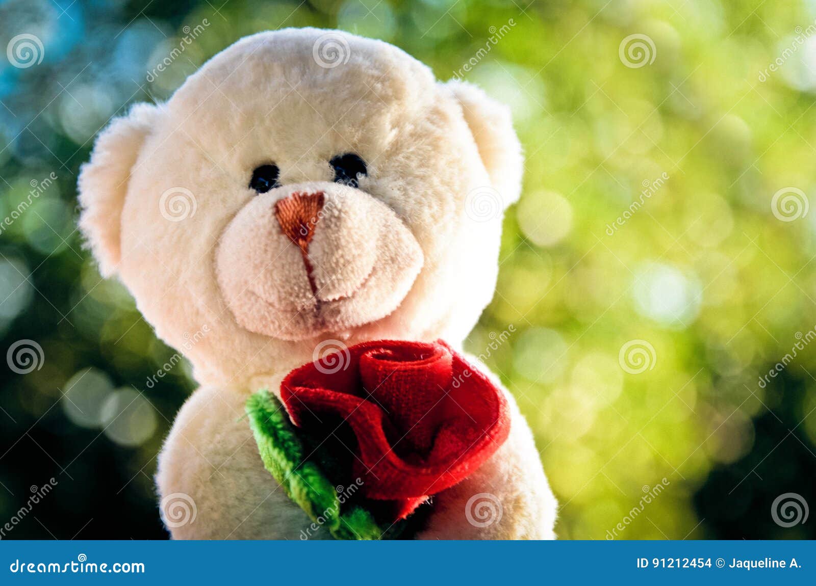 Romantic Bear stock photo. Image of bear, flower, green - 91212454