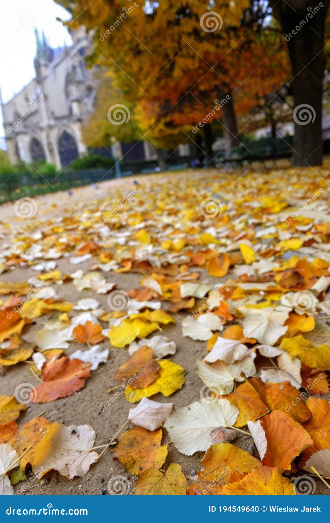Romantic and Beautiful Autumn Scenery of Paris. Stock Photo - Image of ...