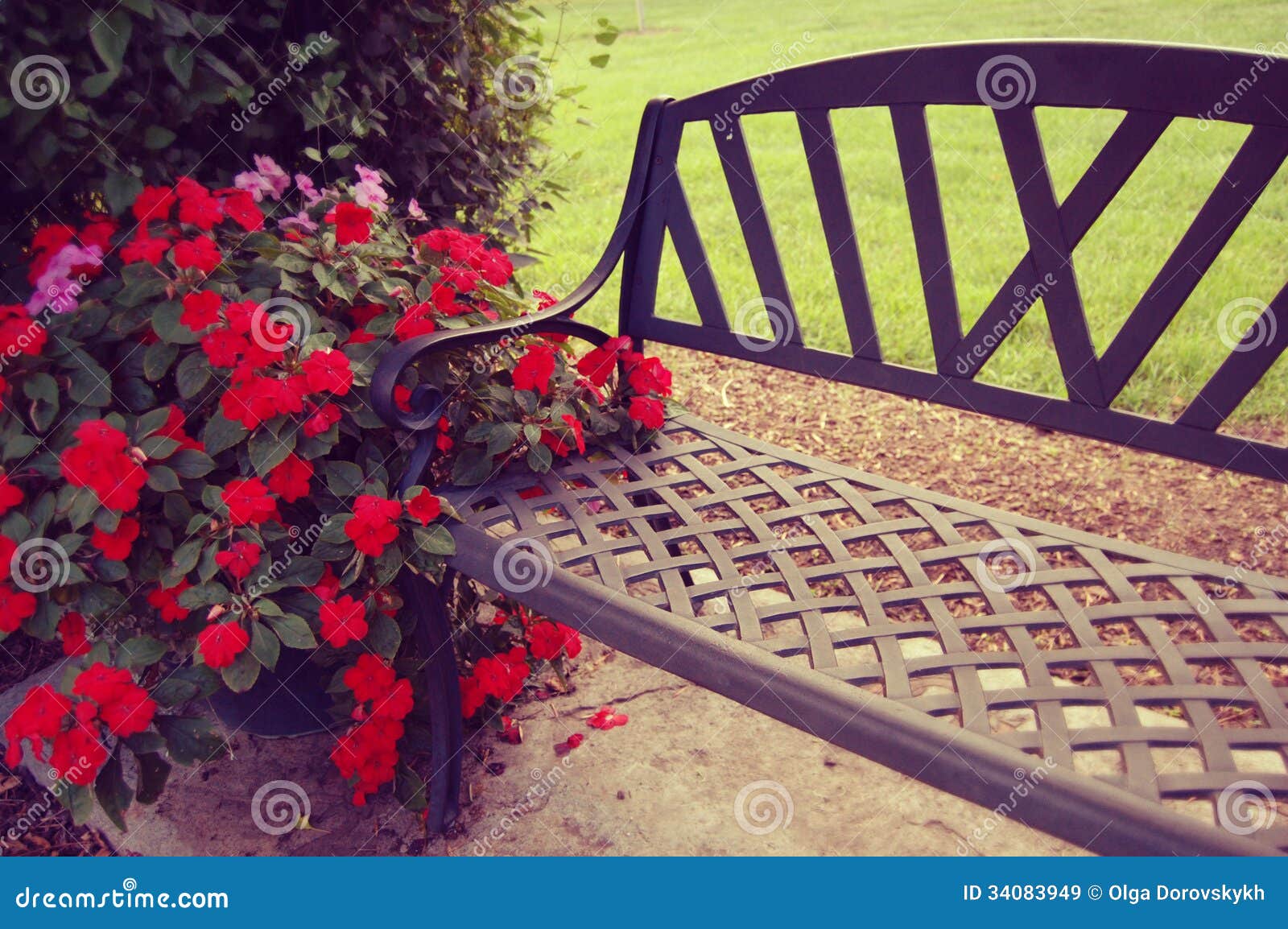 Romantic Bench in the Garden Stock Image - Image of flower, garden ...
