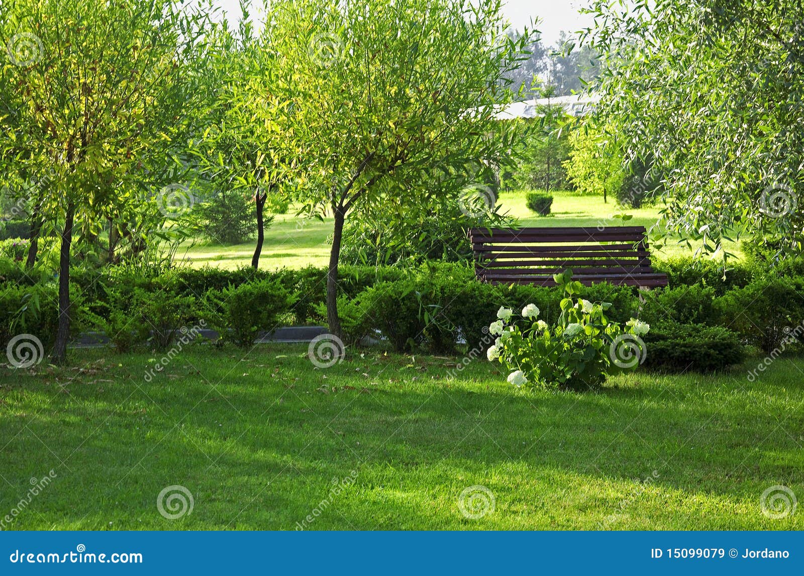 Peaceful Park In The Night With Street Lights, Trees, Green Grass And ...