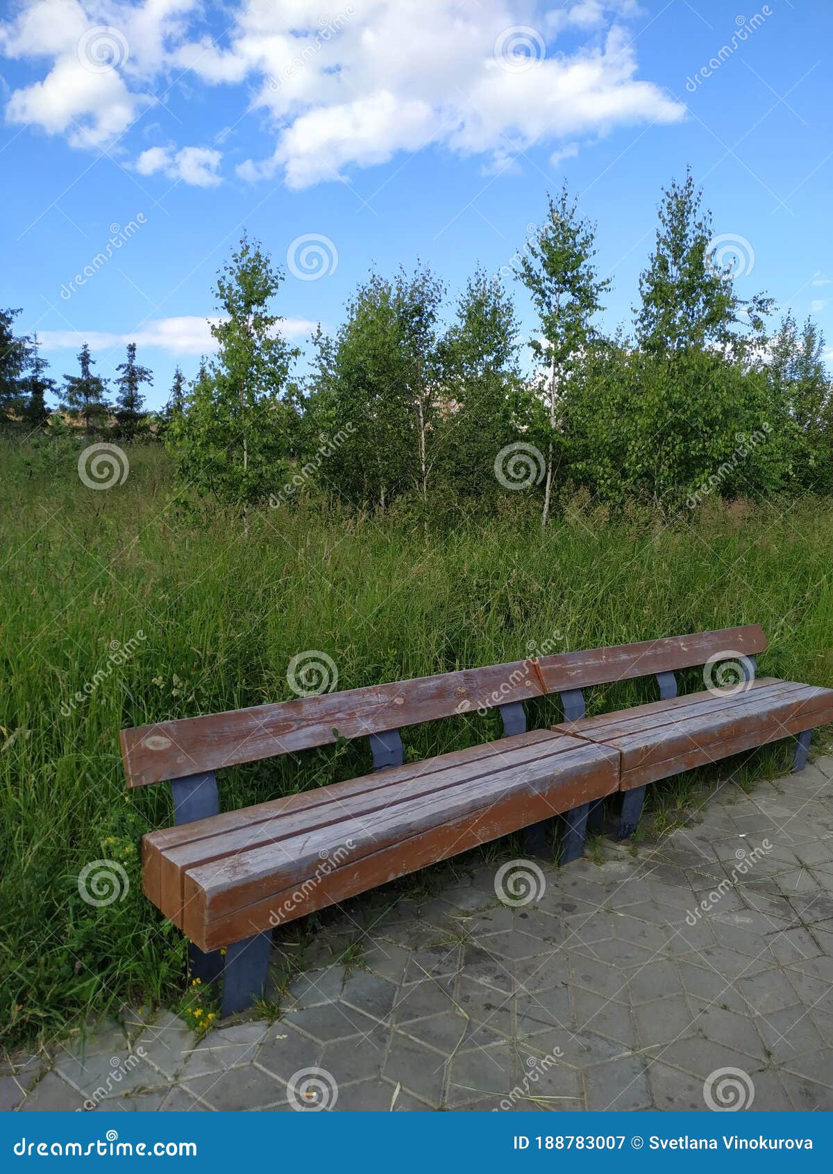 Romantic Bench in Peaceful Park in Spring Stock Image - Image of ...