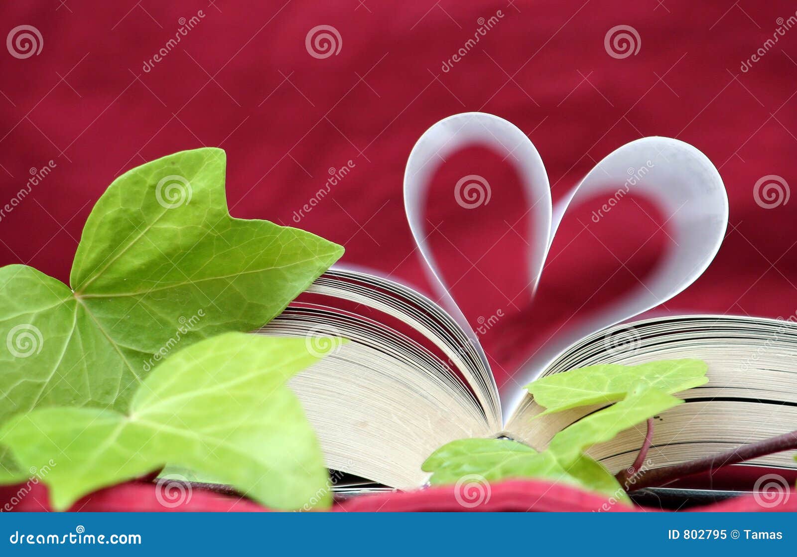 The romantic book of Love stock image. Image of book, books - 802795
