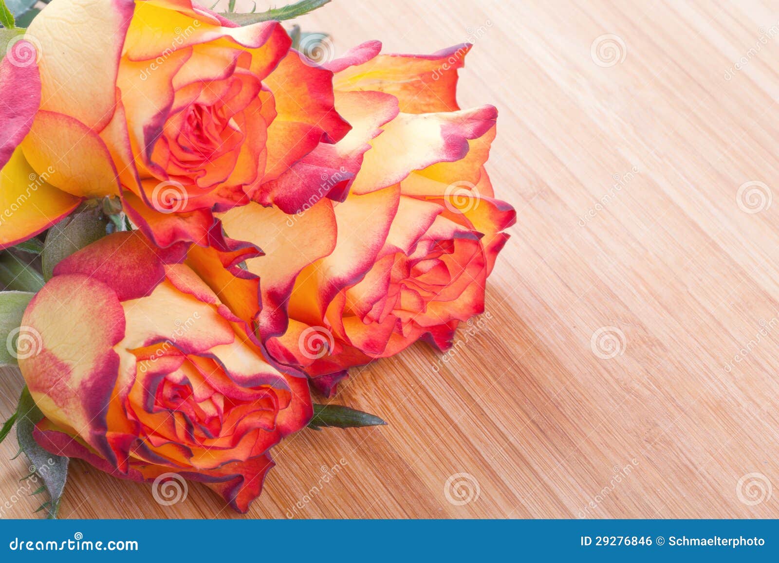 Romantic Bouquet of Orange Coloured Roses Stock Photo - Image of ...