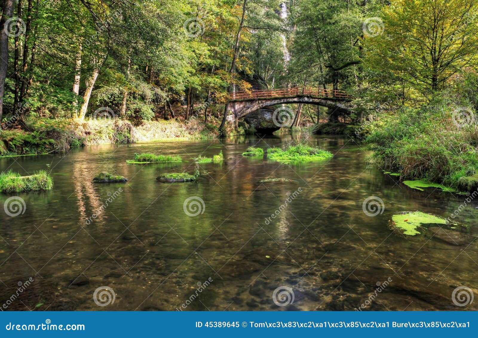 Romantic bridge over water stock image. Image of green - 45389645