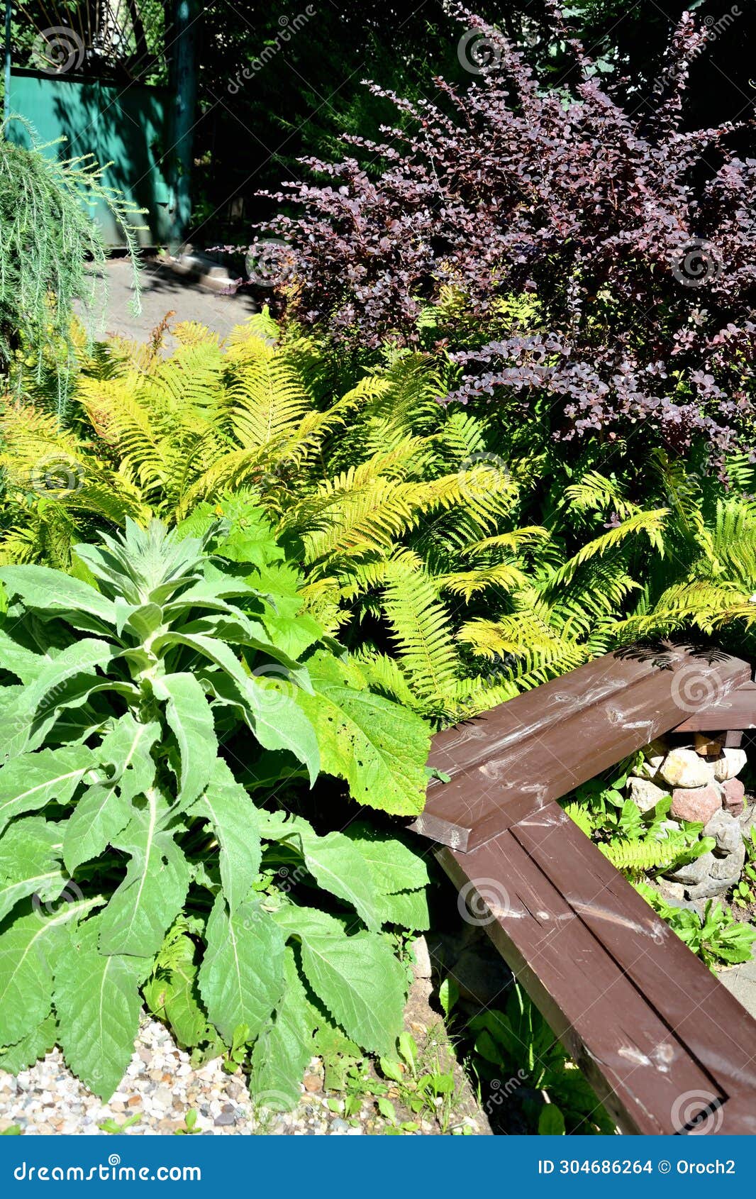 A Romantic Corner of a Well-kept Garden Stock Photo - Image of equipped ...