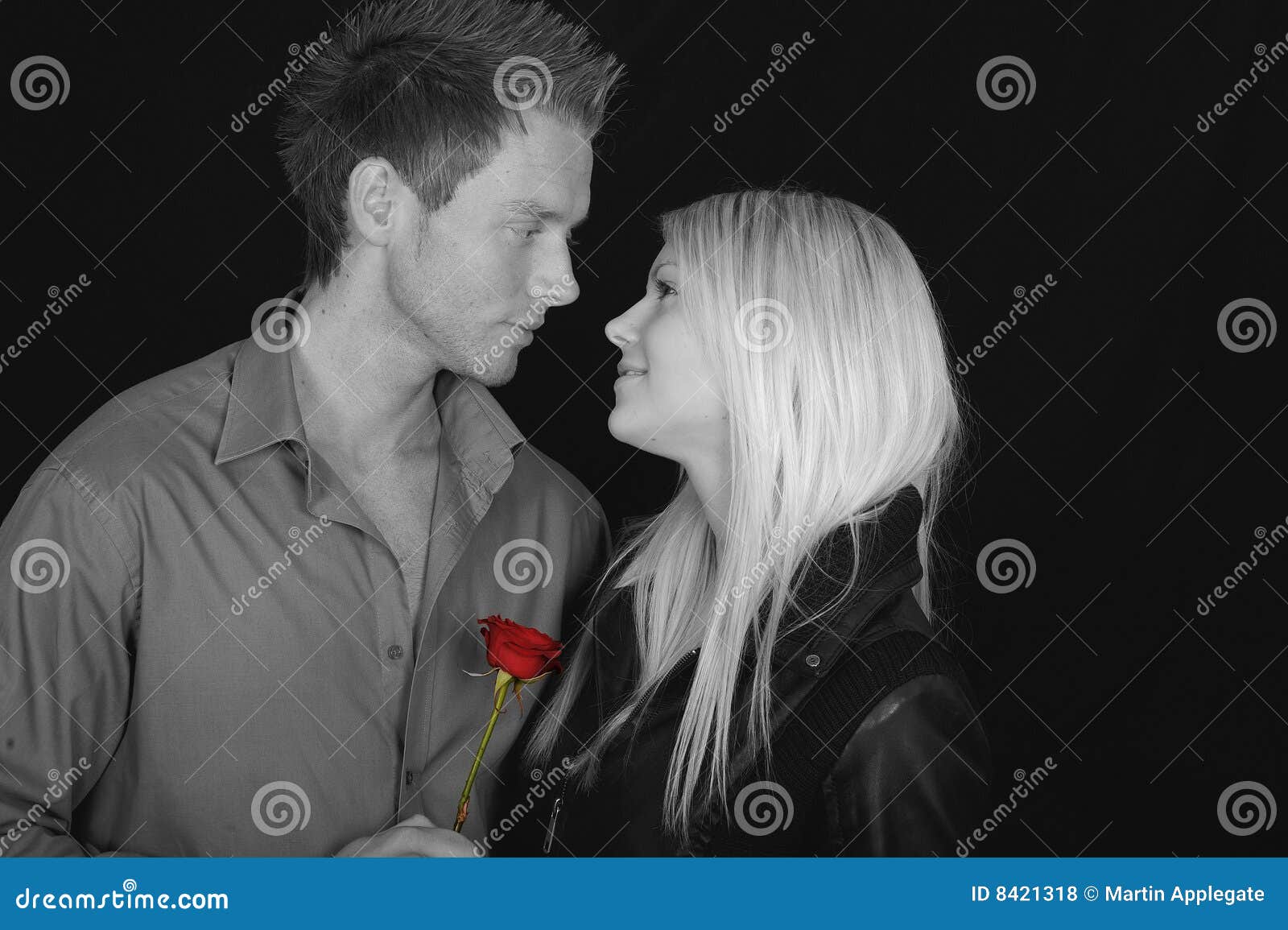 Romantic couple with rose stock photo. Image of girlfriend - 8421318