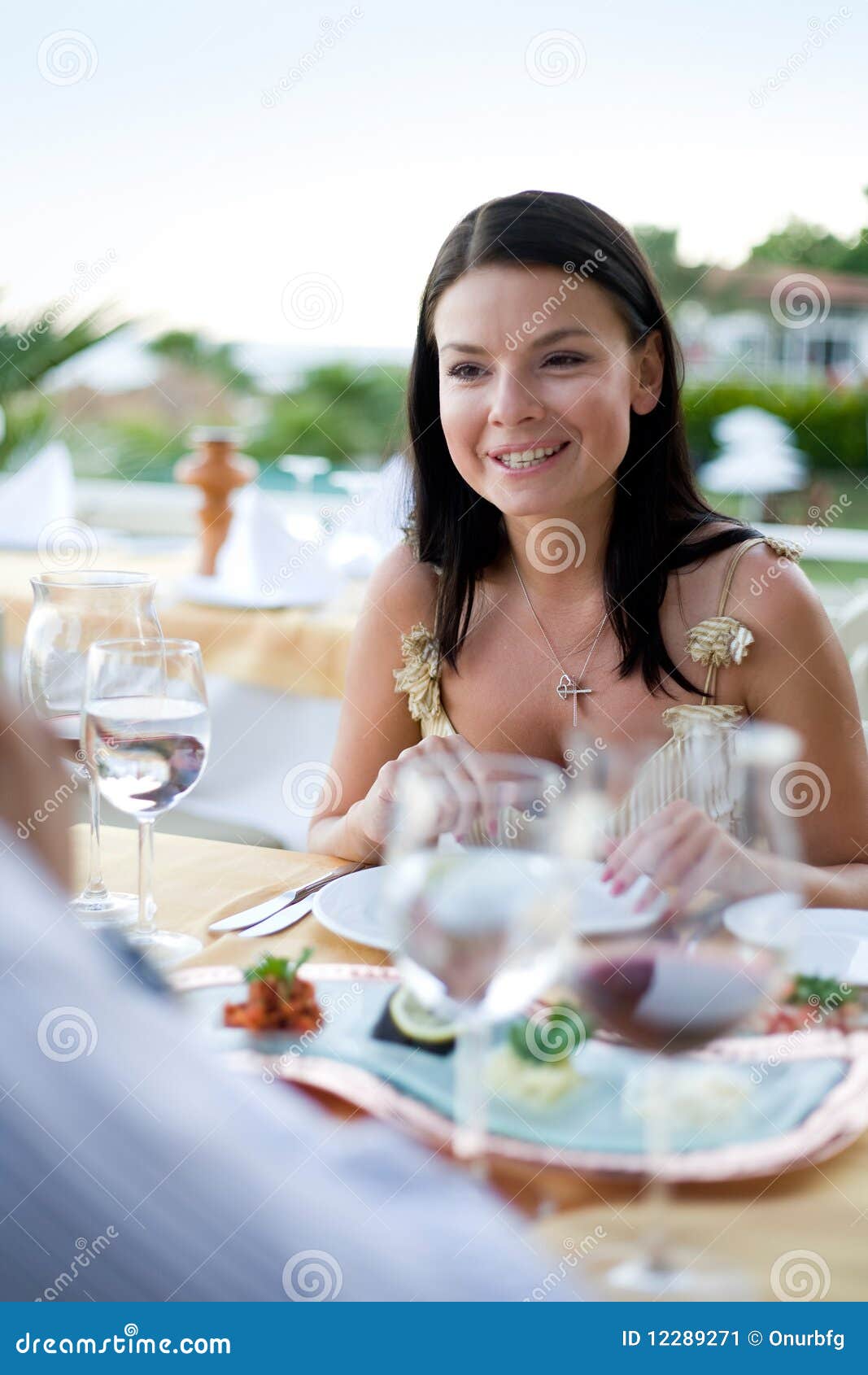Romantic Dinner stock image. Image of happy, adult, attractive - 12289271