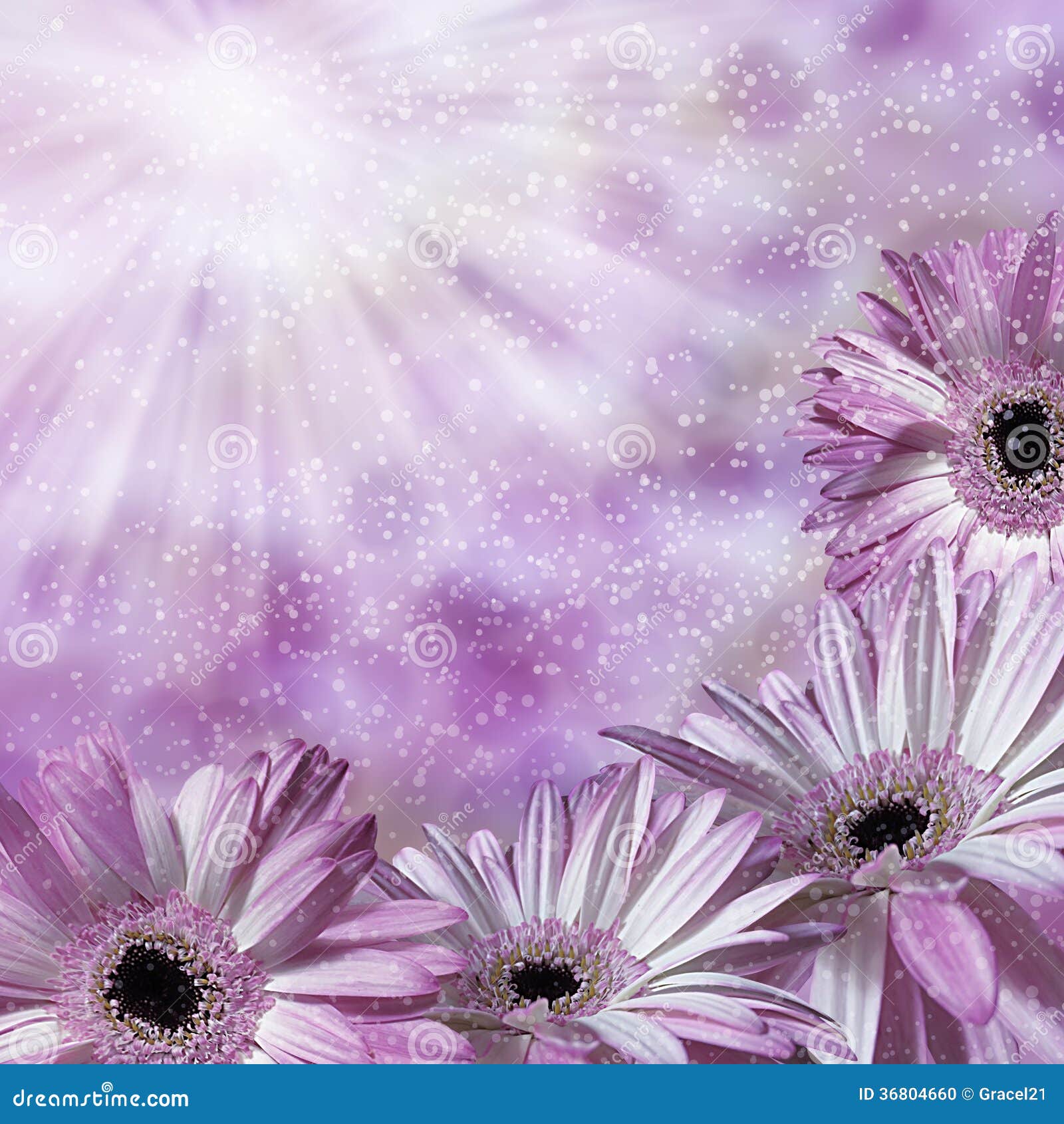 Romantic Flower Background stock photo. Image of florist - 36804660