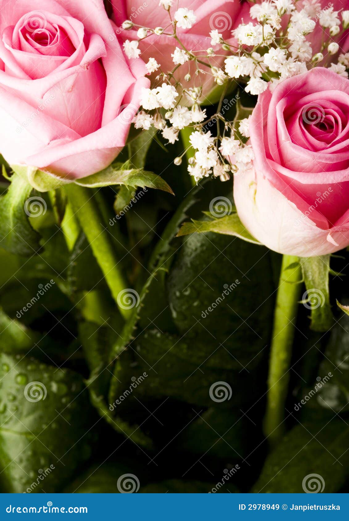 Romantic flowers stock image. Image of bouquet, colourful - 2978949