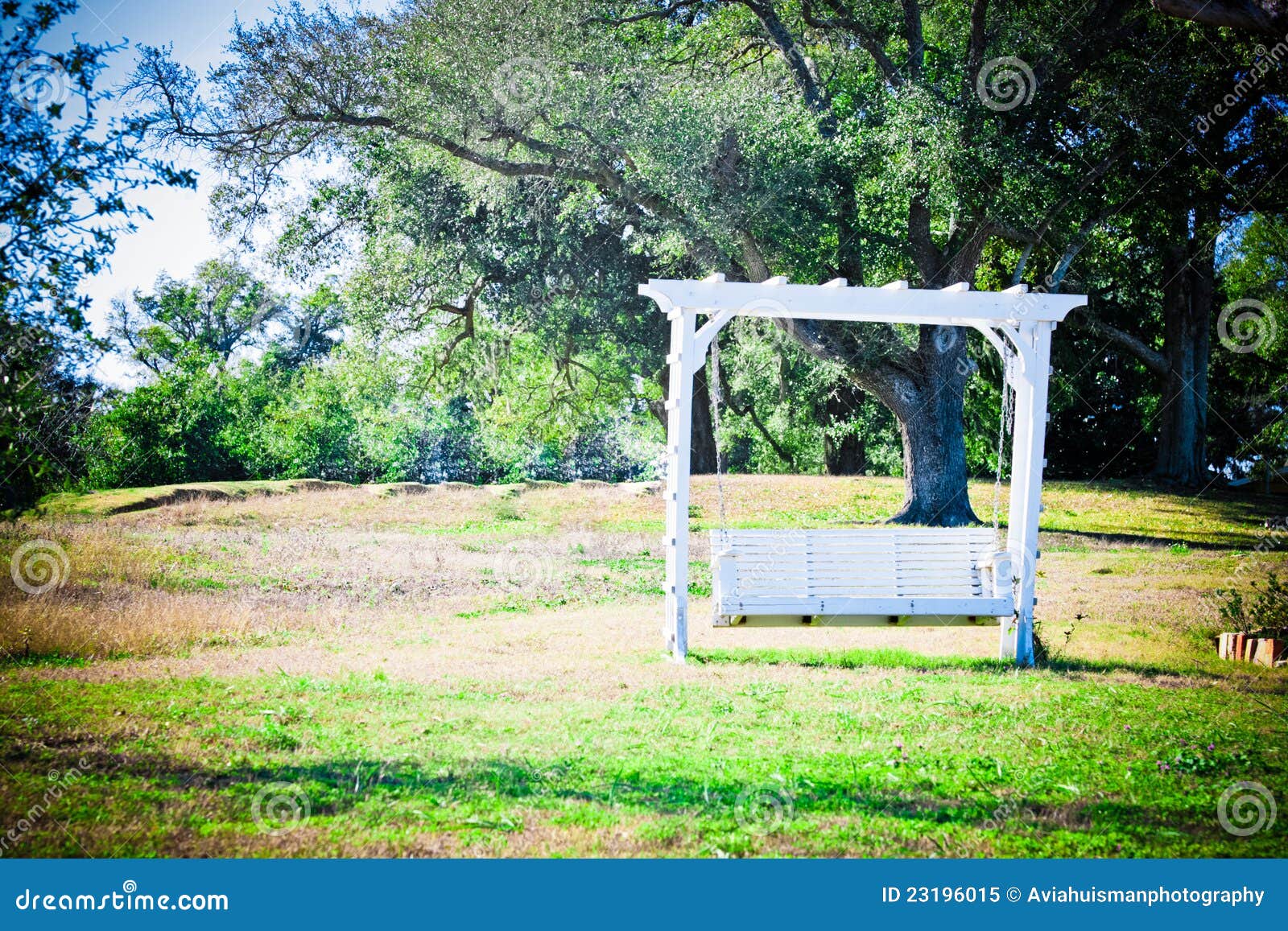 Romantic Garden Bench Swing Stock Image - Image of lovers, natural ...