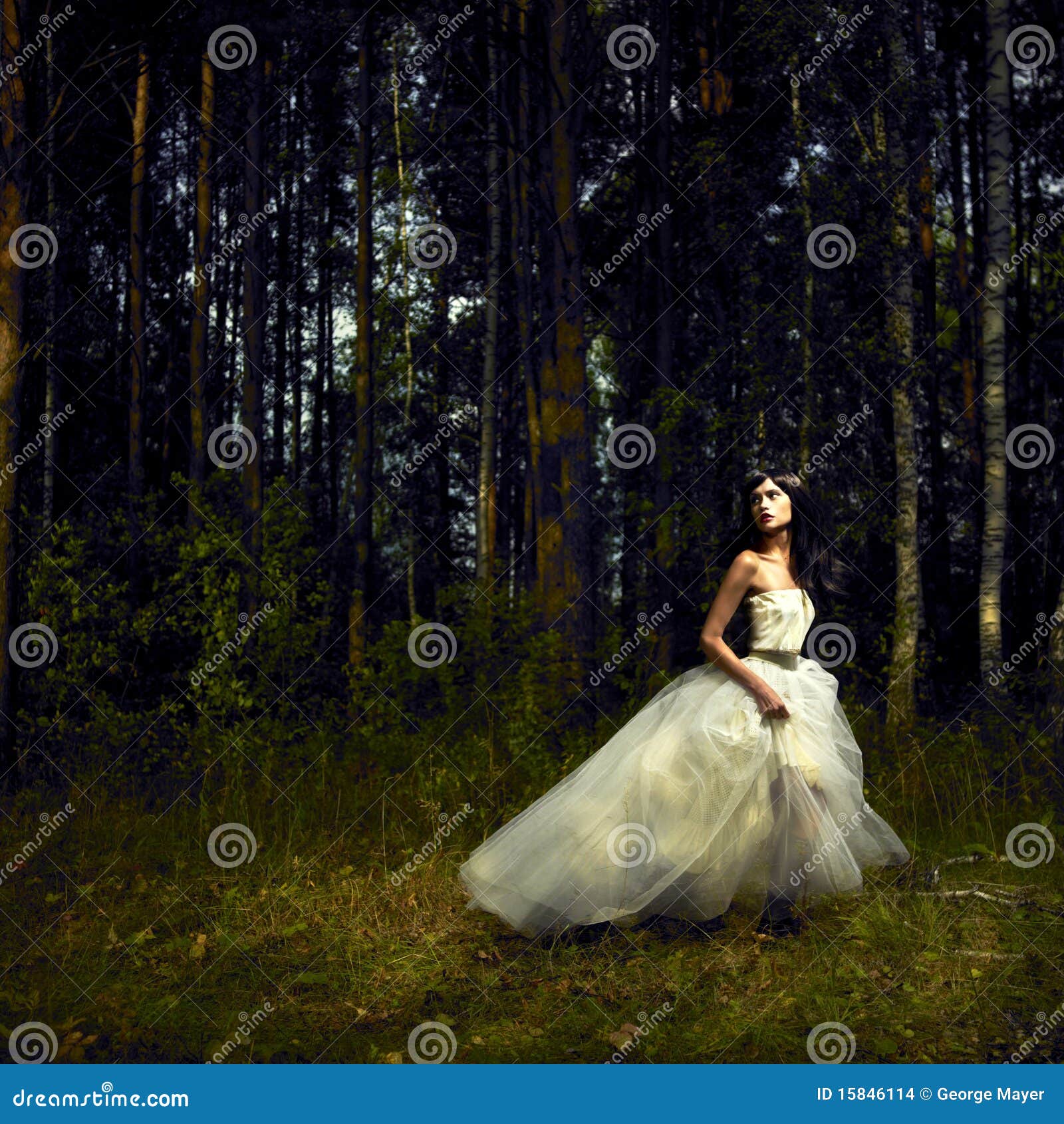 Romantic Girl in Fairy Forest Stock Photo - Image of fashion, miracle ...