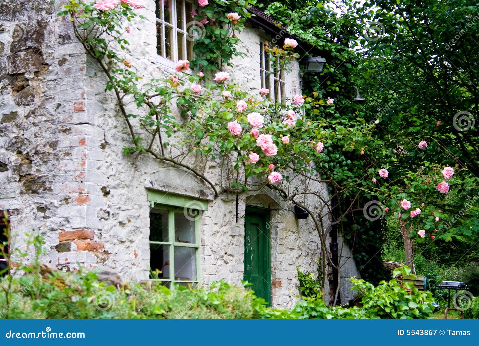 Romantic house with roses stock image. Image of roses - 5543867