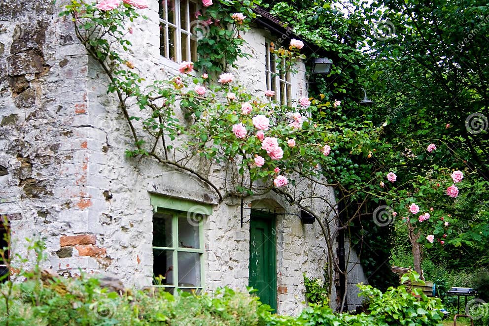Romantic house with roses stock image. Image of roses - 5543867