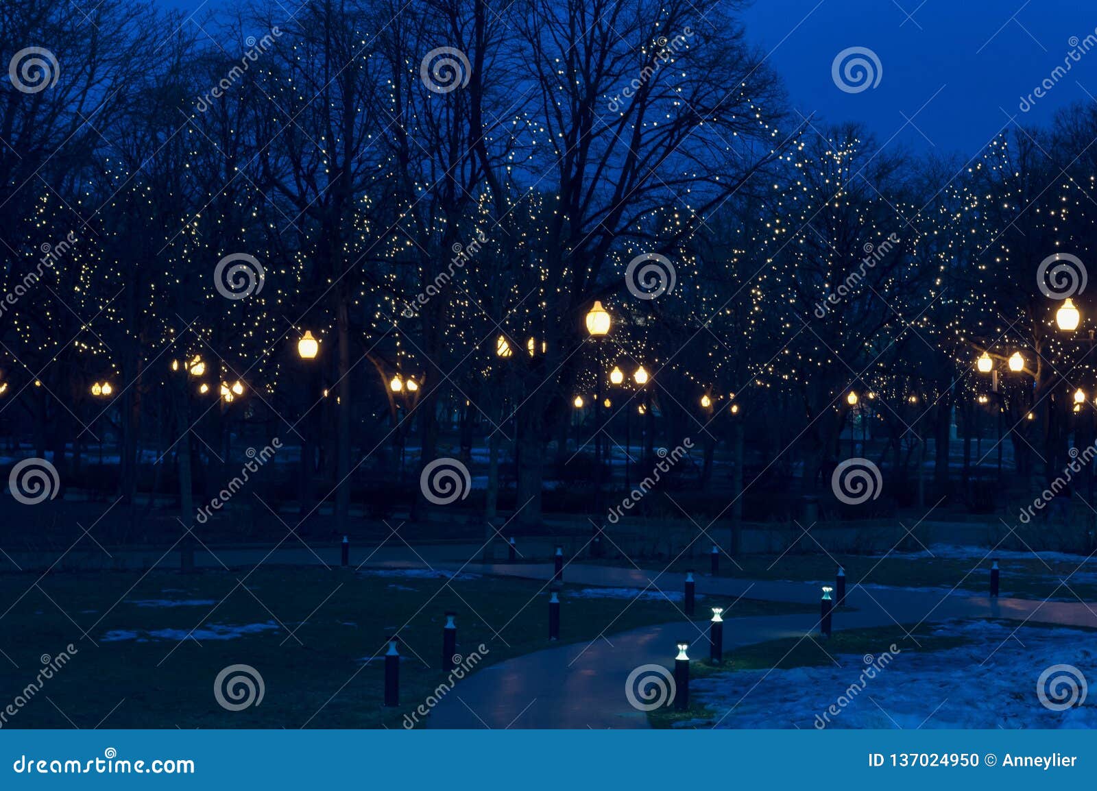 Romantic Illumination and Street Lights in Park Stock Photo - Image of ...
