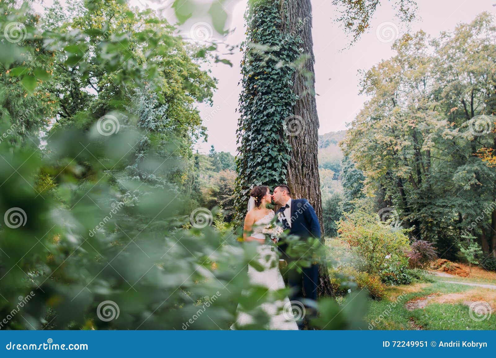 Romantic Just Married Couple Kissing Under High Tree in Park Stock ...
