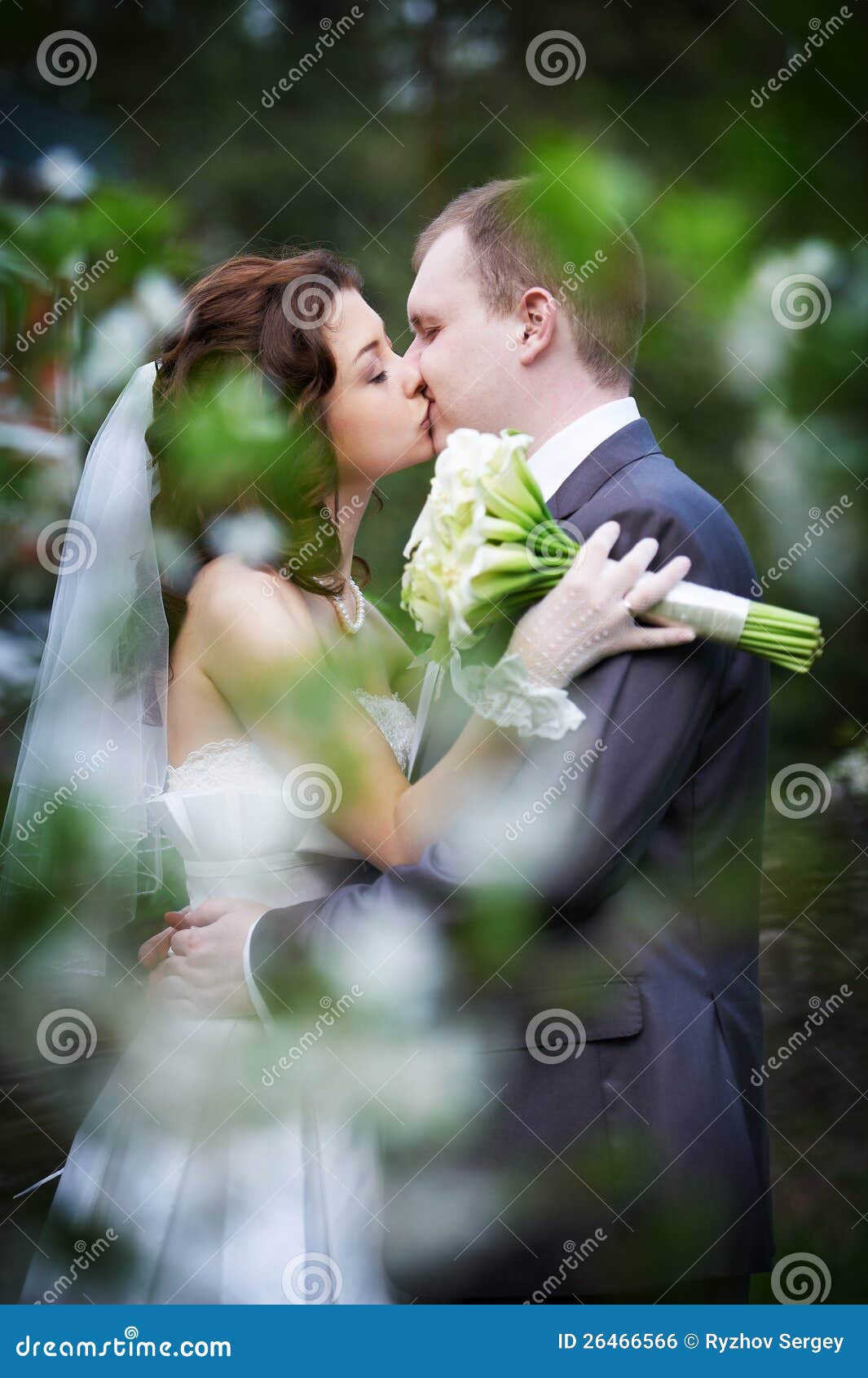 Romantic Kiss Bride and Groom through the Foliage Stock Photo - Image ...