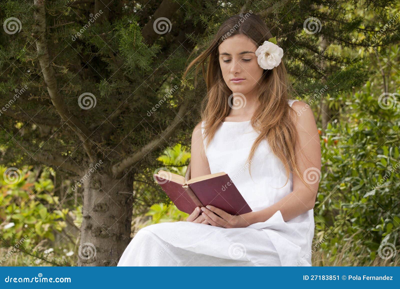 Romantic Lady Reading a Book Sitting Stock Image - Image of beauty ...