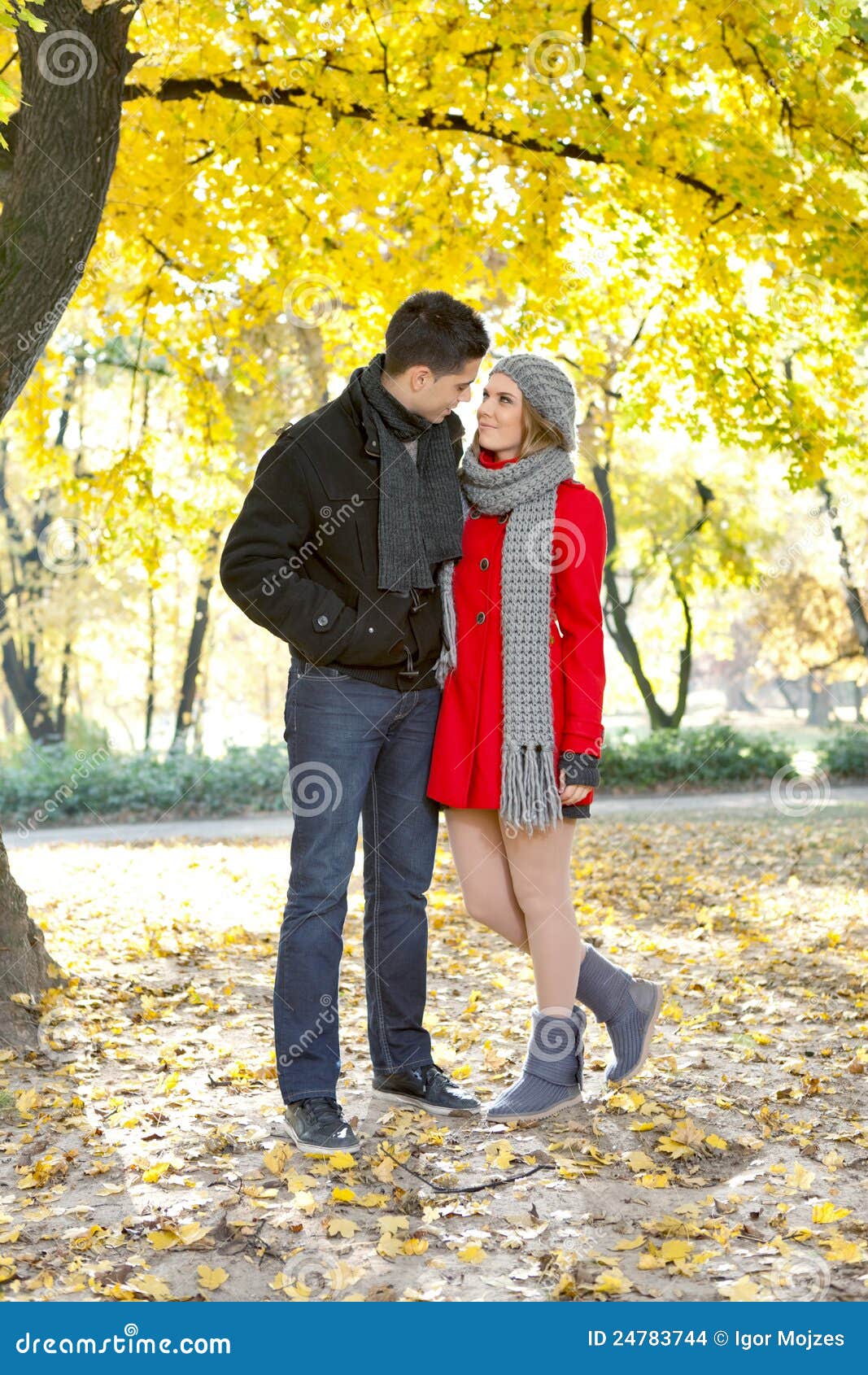 Romantic love in autumn stock photo. Image of bonding - 24783744