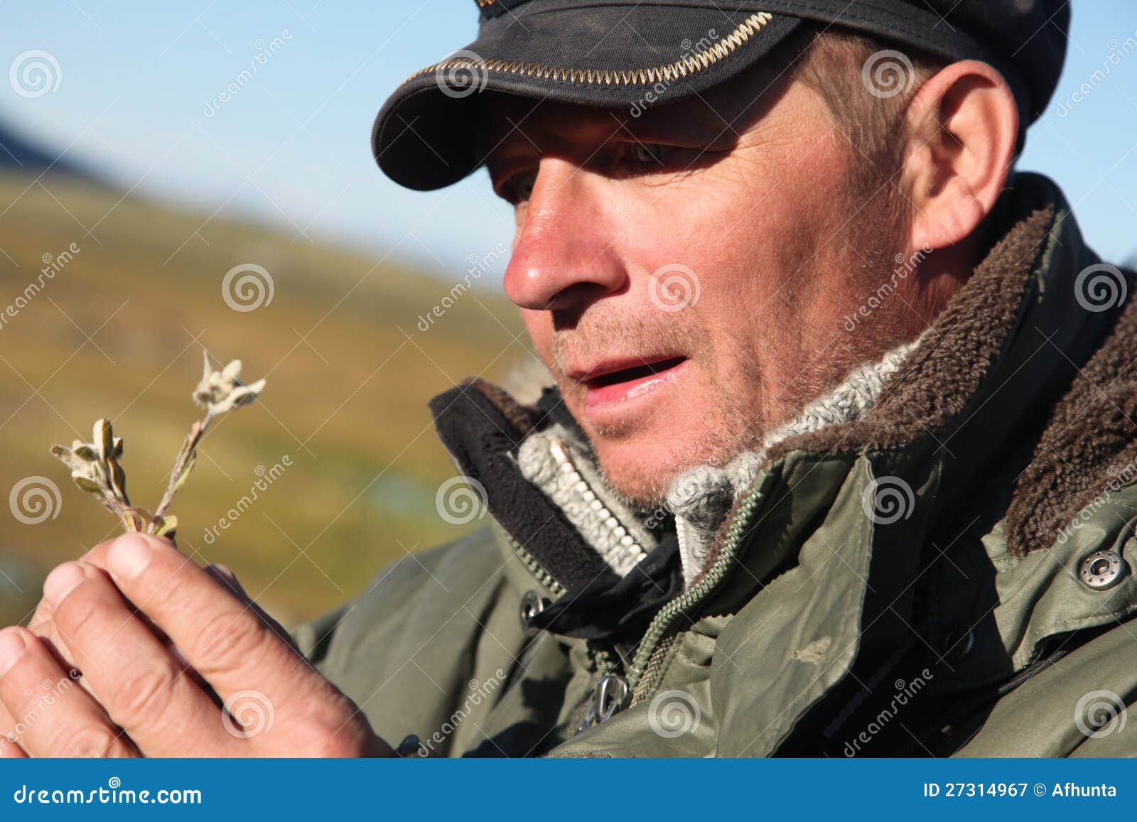 Romantic man stock image. Image of nature, copy, clear - 27314967
