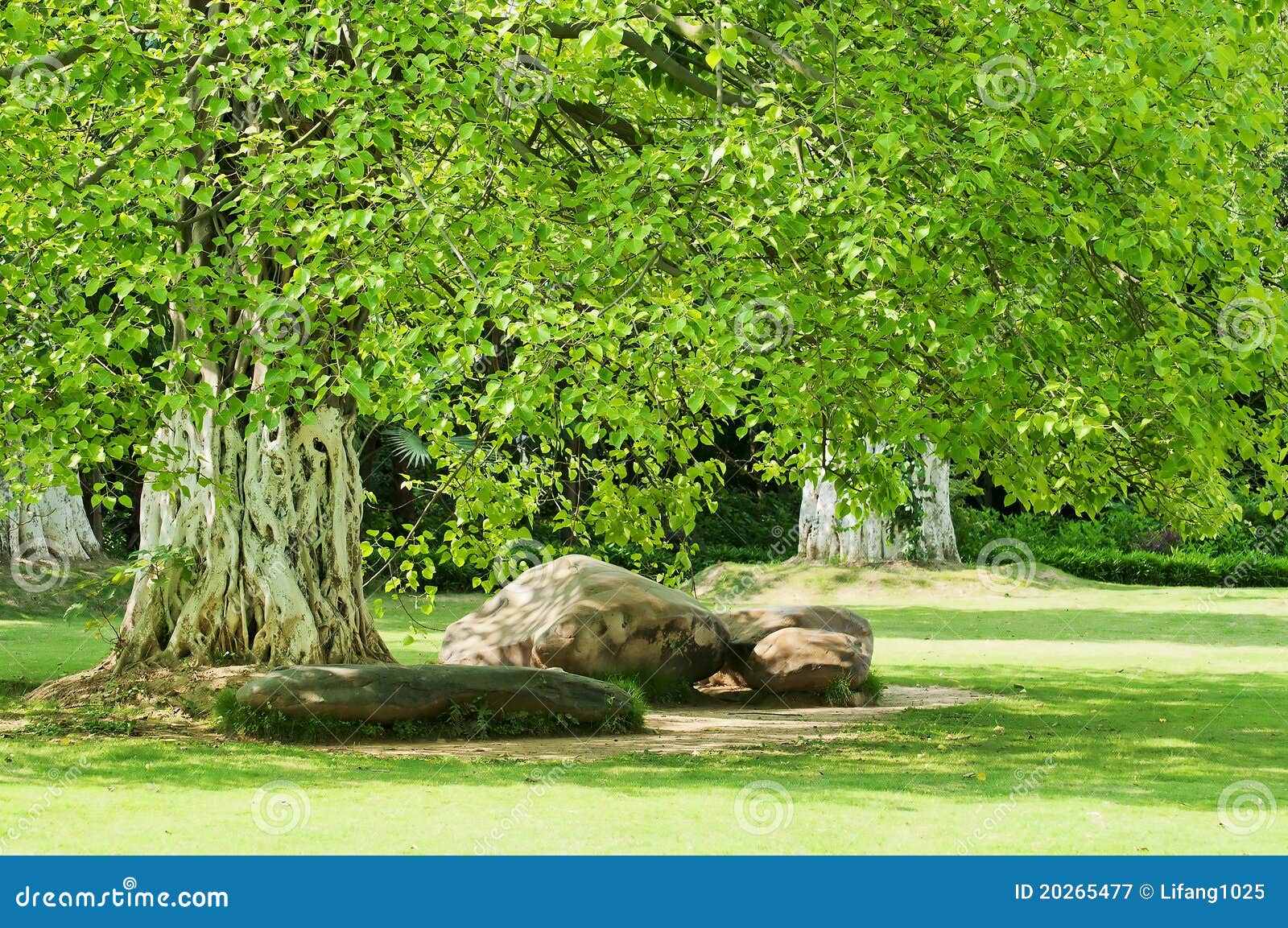 Romantic park stock image. Image of peace, romantic, background - 20265477