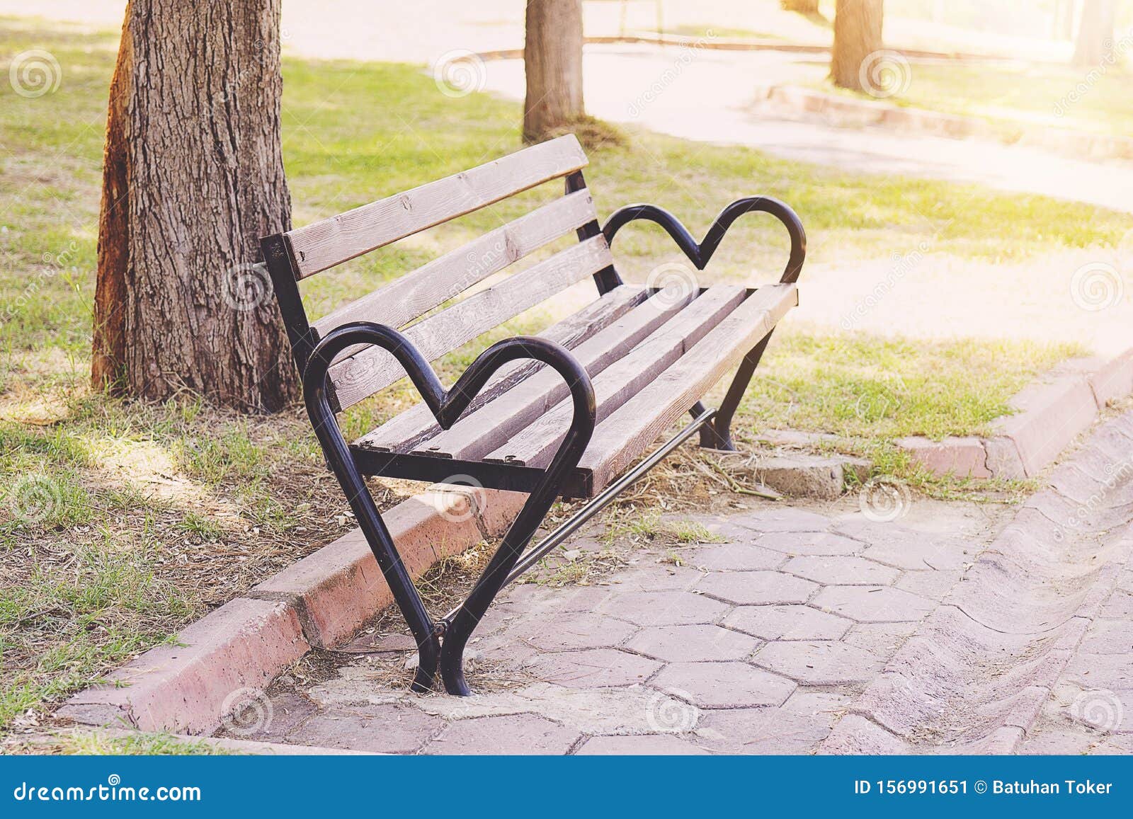 Romantic park. stock image. Image of scenery, scene - 156991651