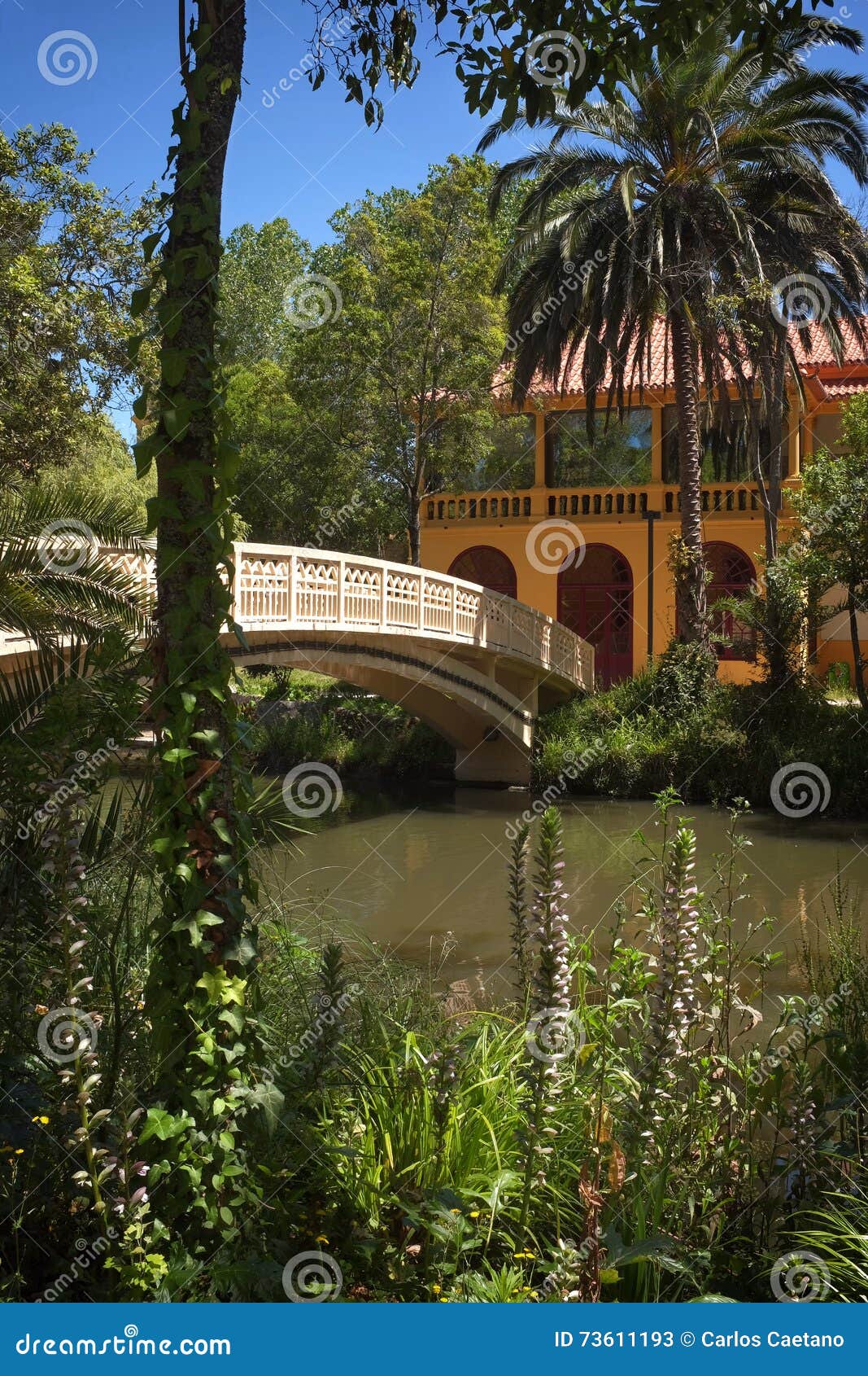 Romantic Park stock image. Image of park, environment - 73611193