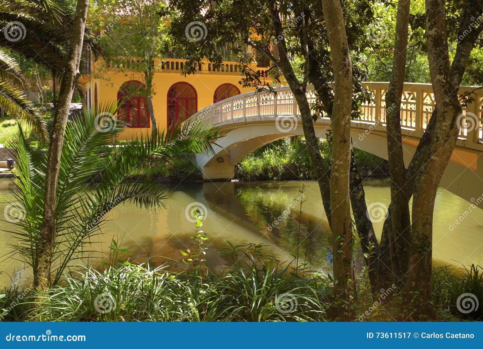 Romantic Park stock image. Image of lake, romantic, bush - 73611517