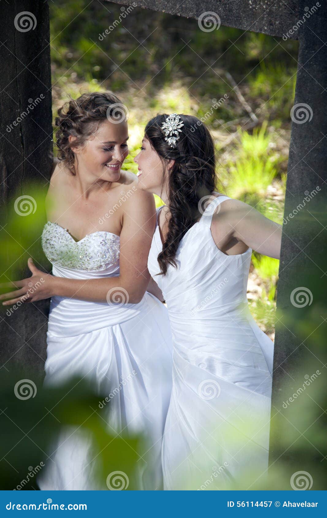 Romantic Picture of Two Brides in Nature Surroundings Stock Image ...