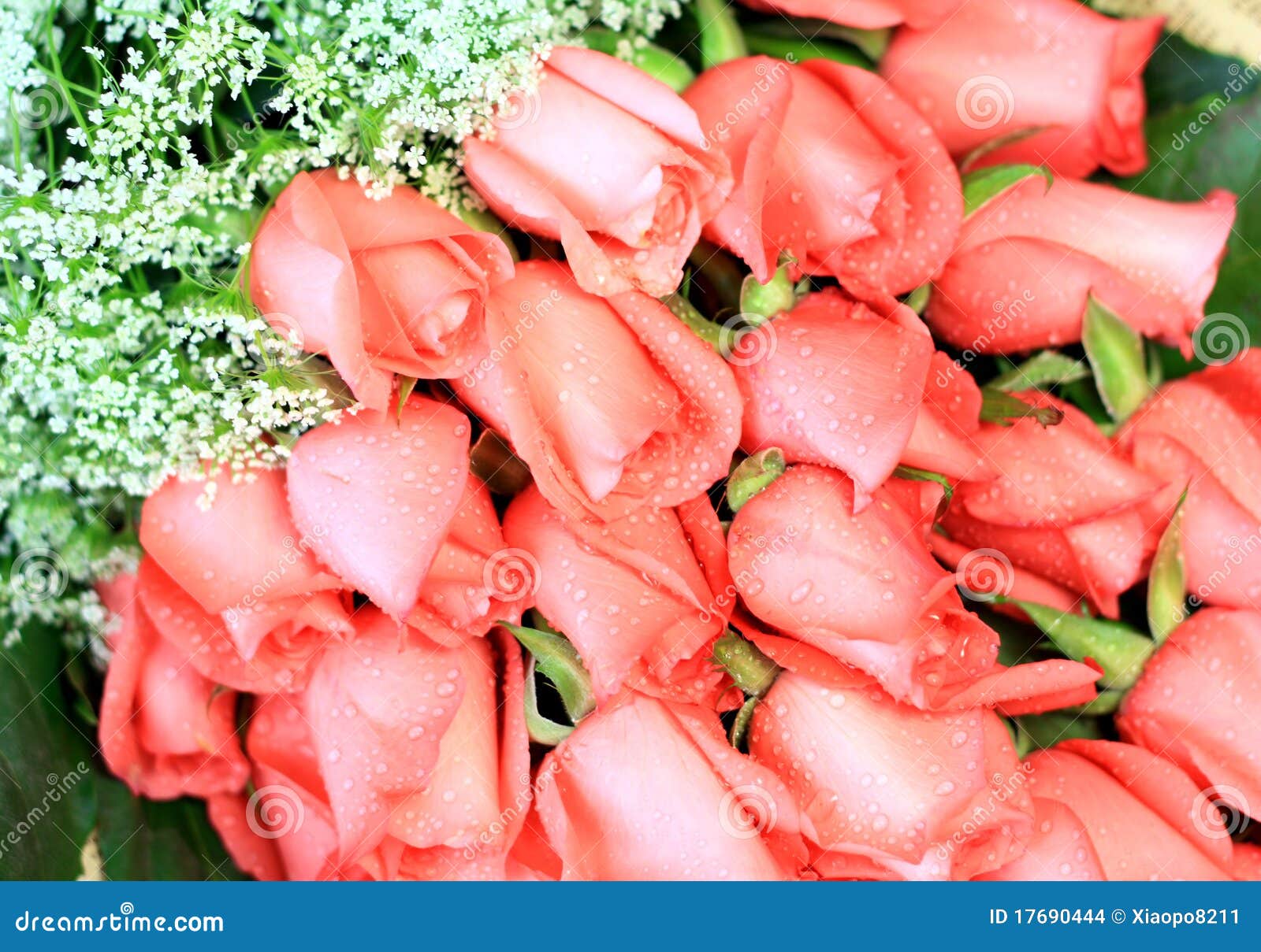 Romantic pink roses stock photo. Image of design, botany - 17690444