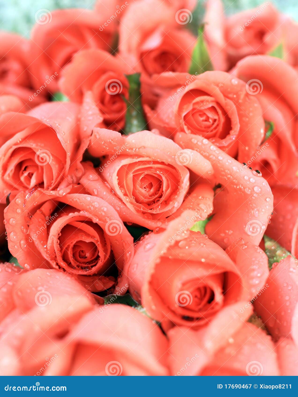 Romantic pink roses stock image. Image of aroma, arrangement - 17690467