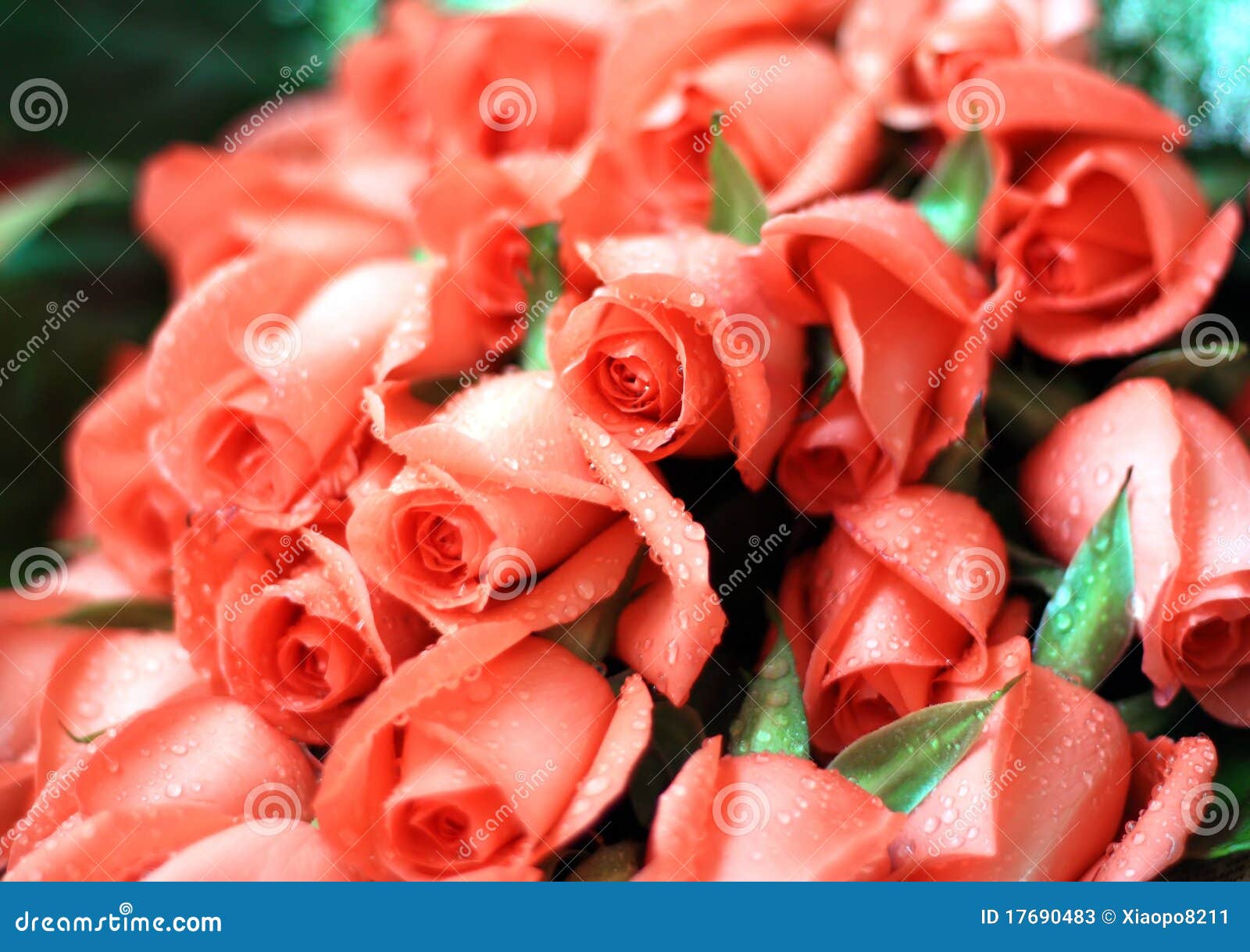 Romantic pink roses stock image. Image of composition - 17690483