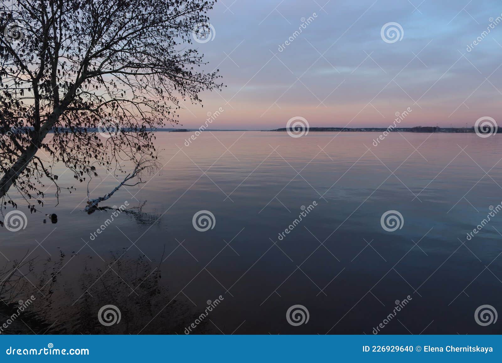 Romantic Pink Sunset by the Water Stock Photo - Image of nature, cloud ...