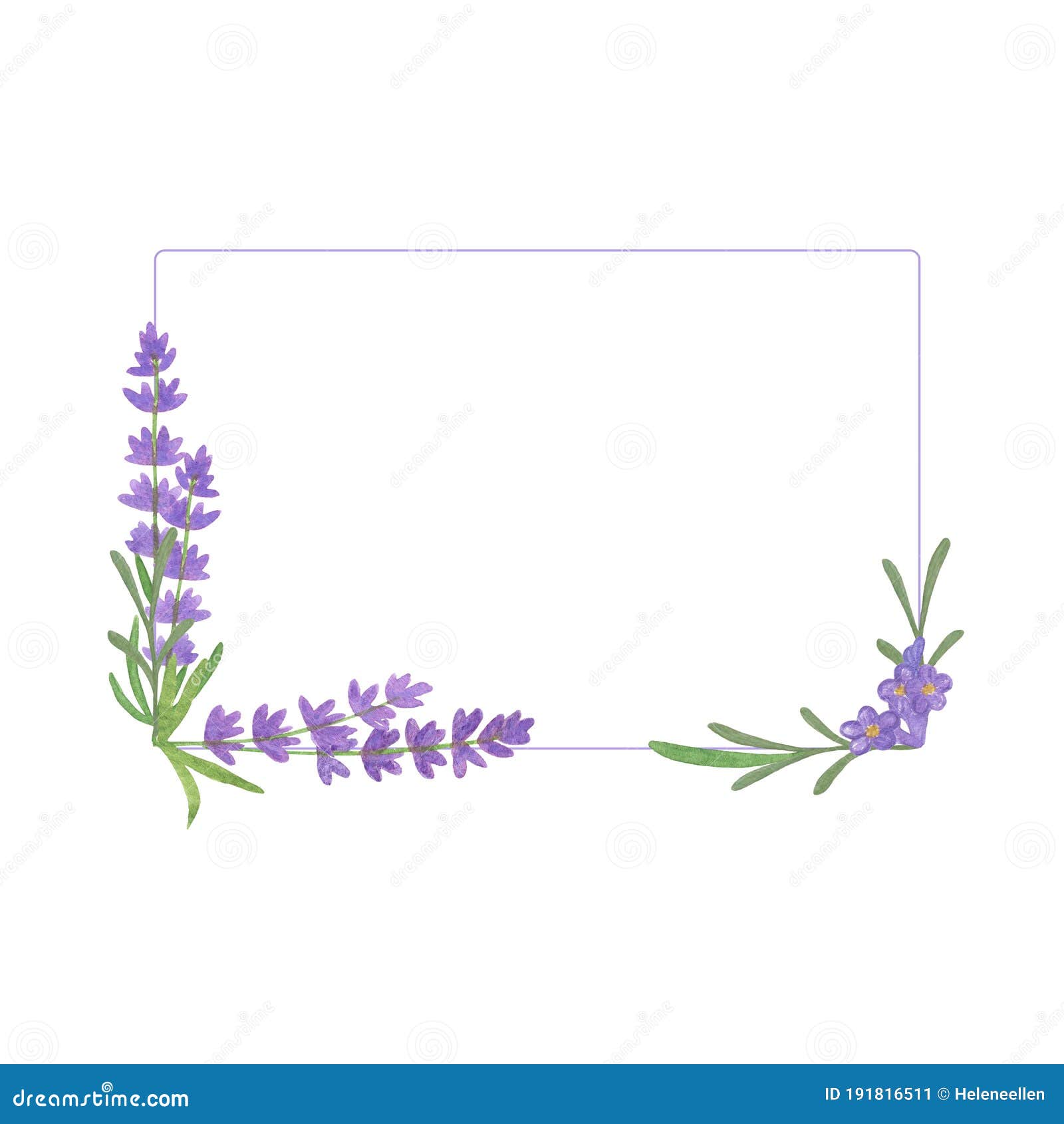 Romantic Rectangular Frame with Light Violet Tender Lavender Flower ...