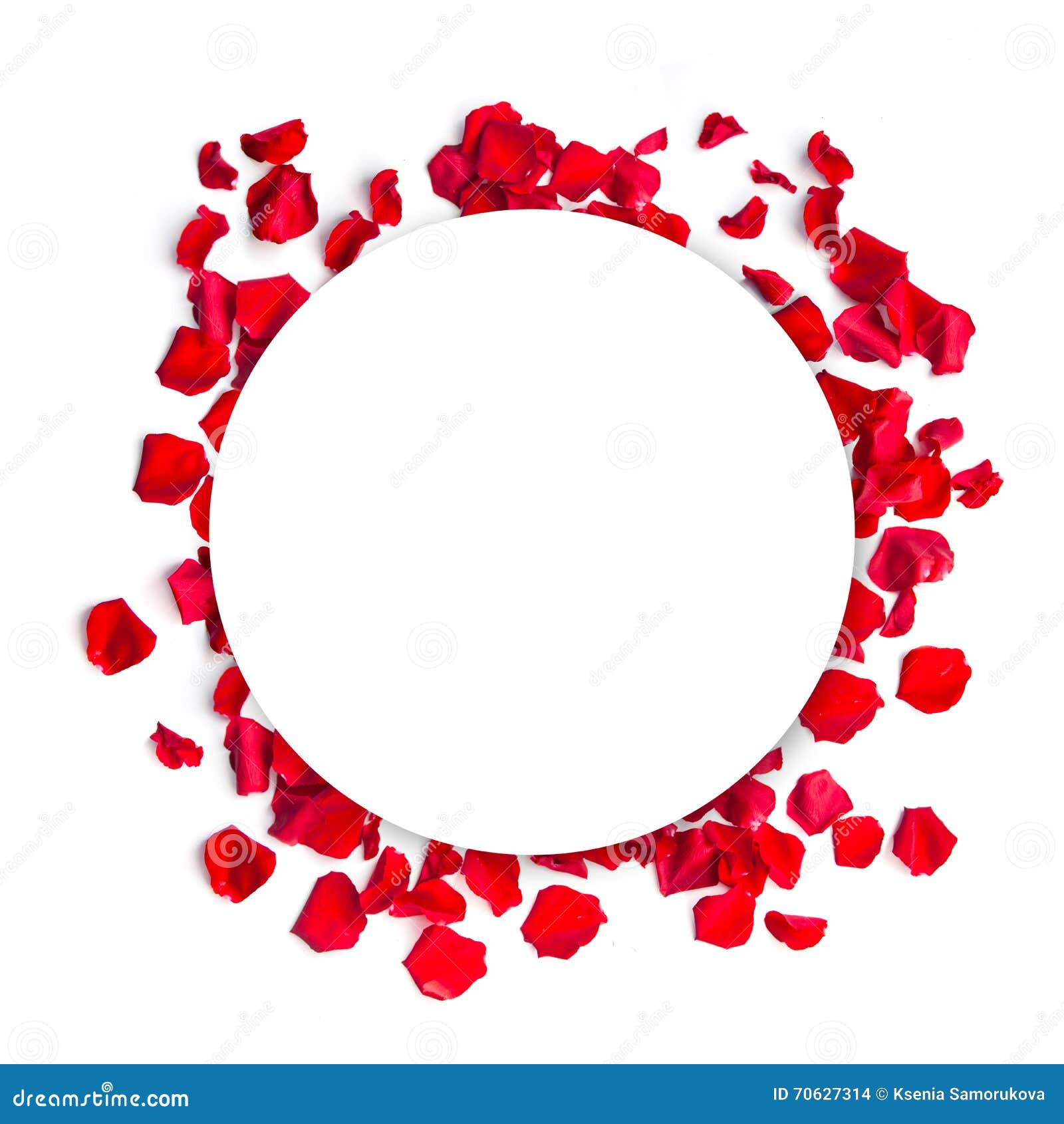 Romantic Red Rose Petals Circle Background Stock Photo - Image of white ...