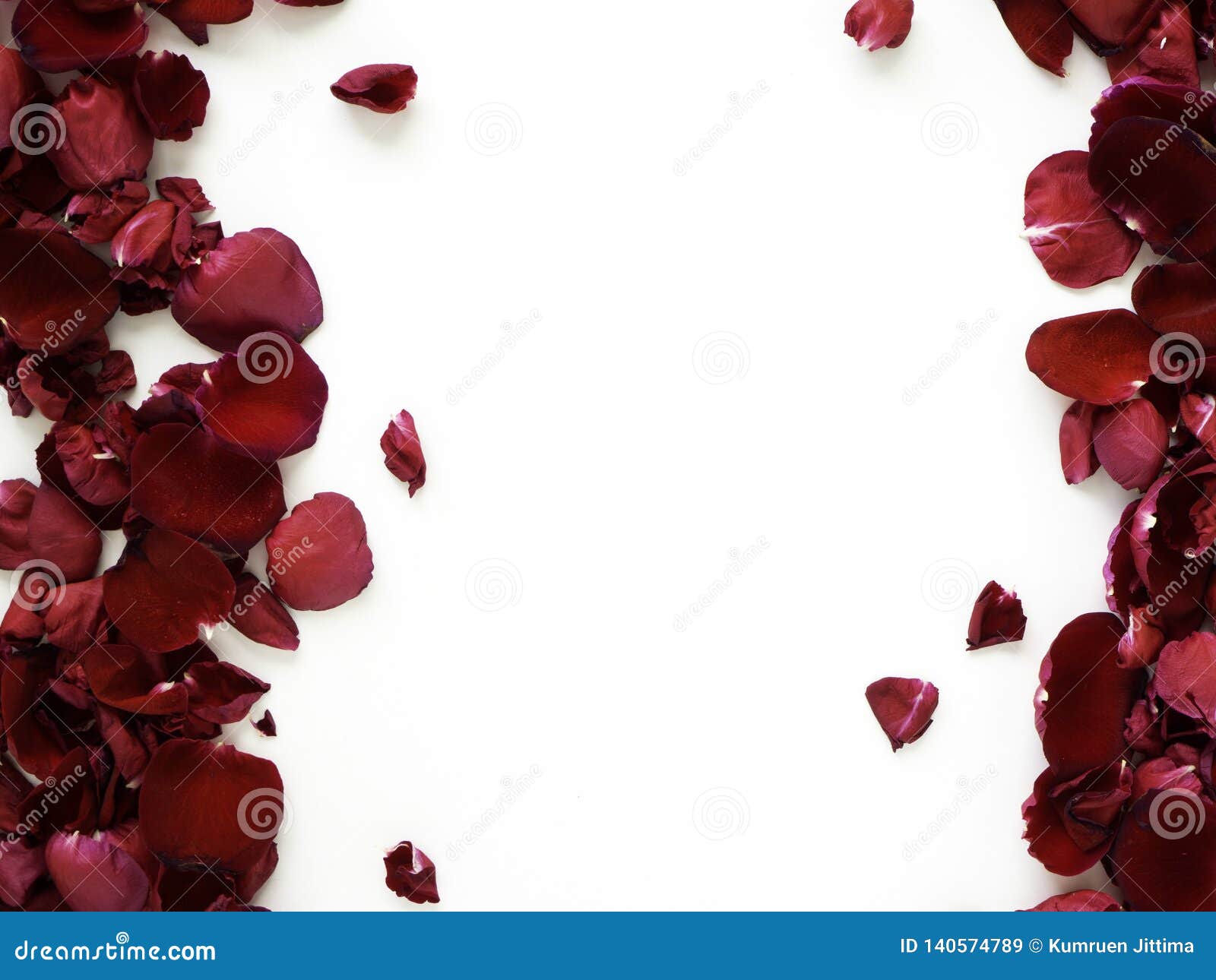 Romantic Red Rose Petals on White Background Stock Image - Image of ...