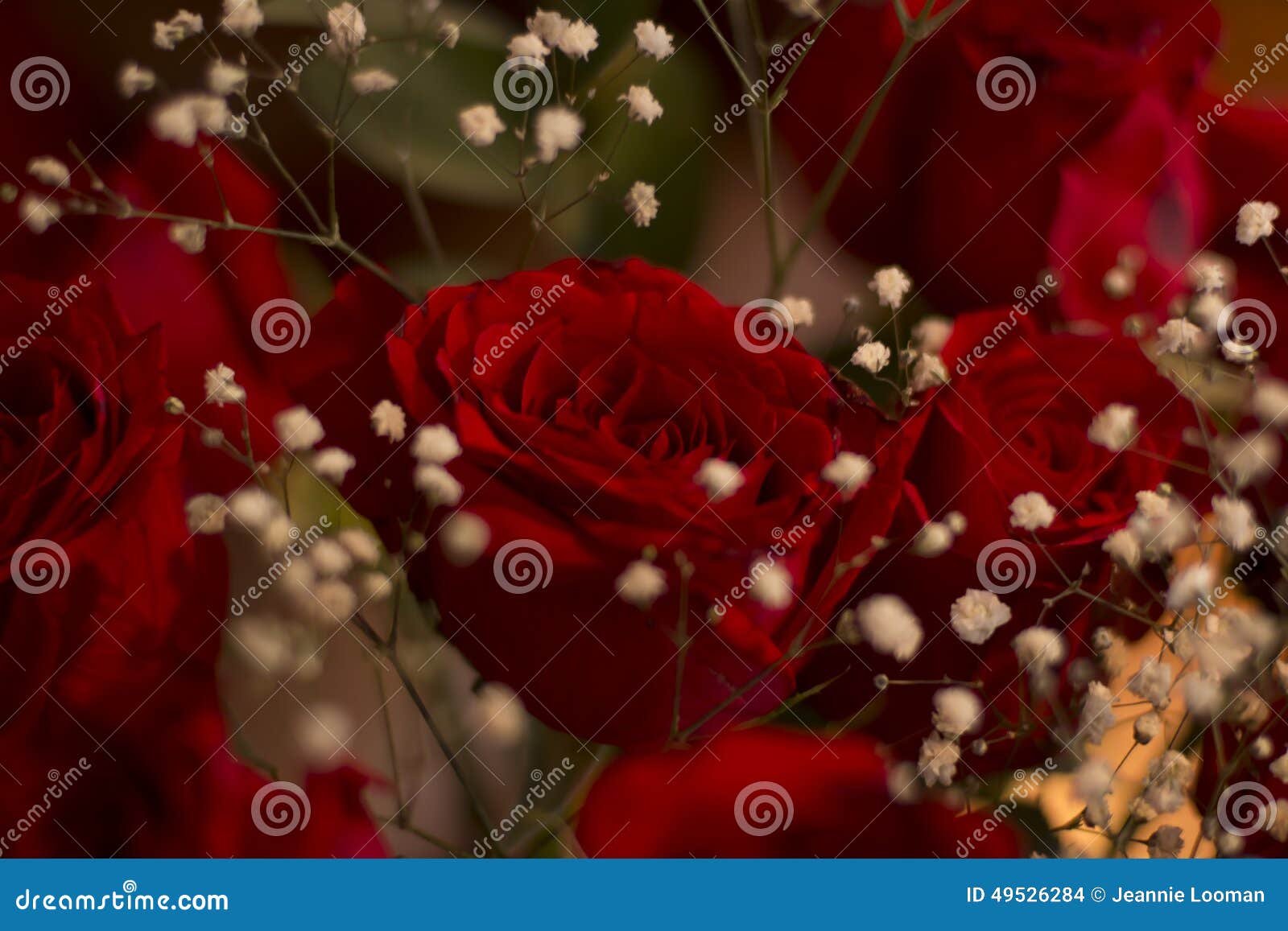 Romantic Red Roses stock photo. Image of roses, poplar - 49526284